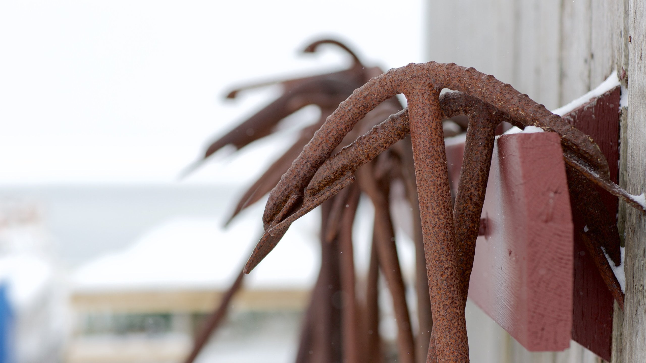 Visit North Rustico: 2024 Travel Guide for North Rustico, Prince Edward ...