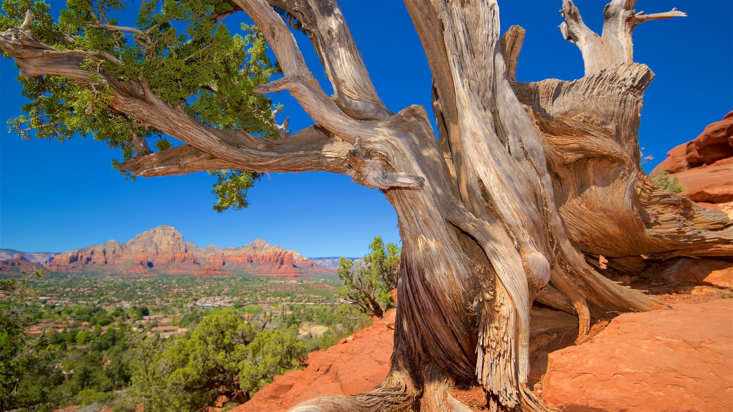 Visit Sedona: 2024 Travel Guide for Sedona, Arizona | Expedia