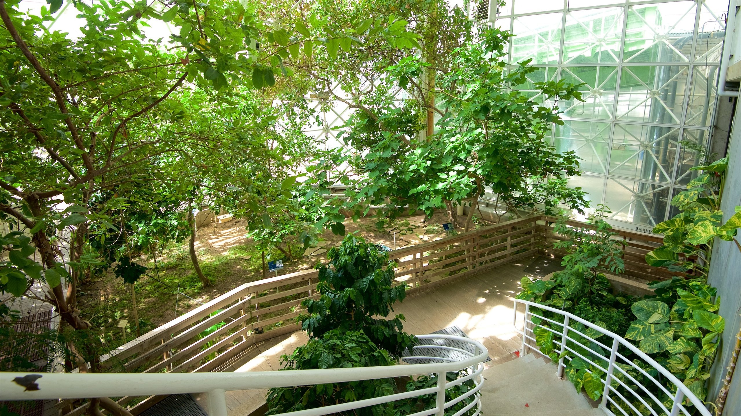 Biosphere 2 In Tucson Arizona Expedia