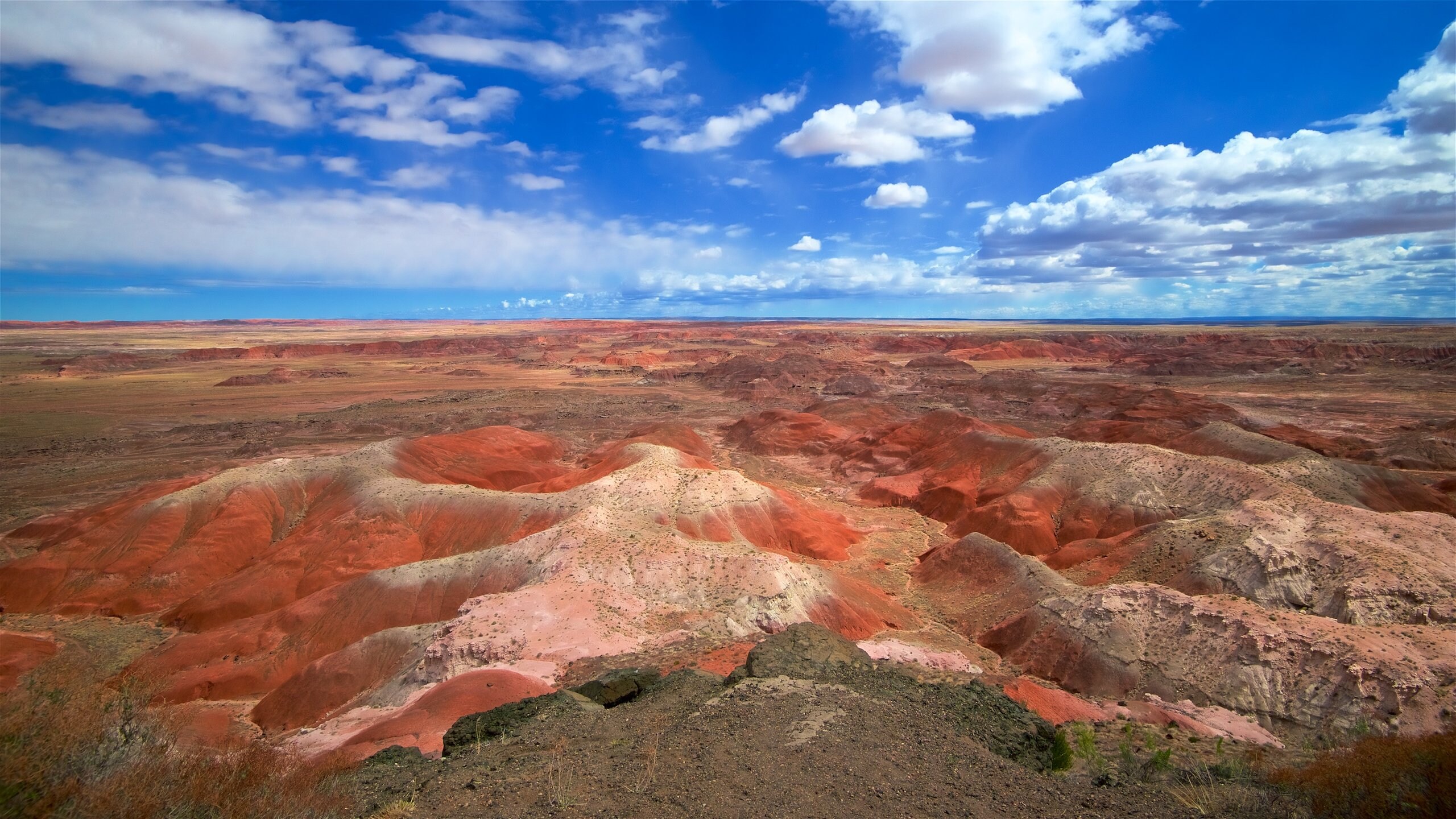 Coconino National Forest Picnic Ground Painted Desert Vista