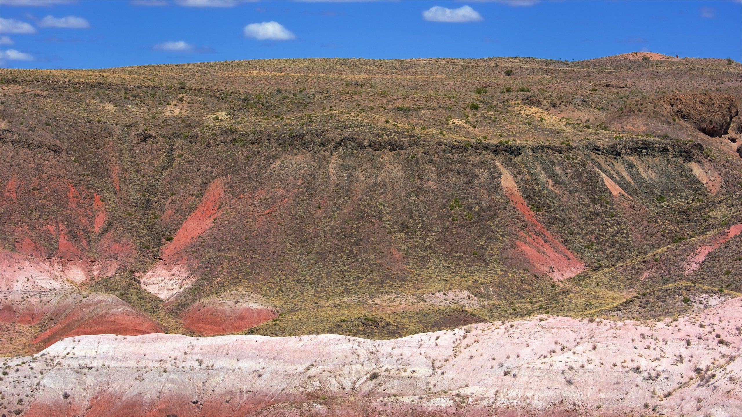 Coconino National Forest Picnic Ground Painted Desert Vista