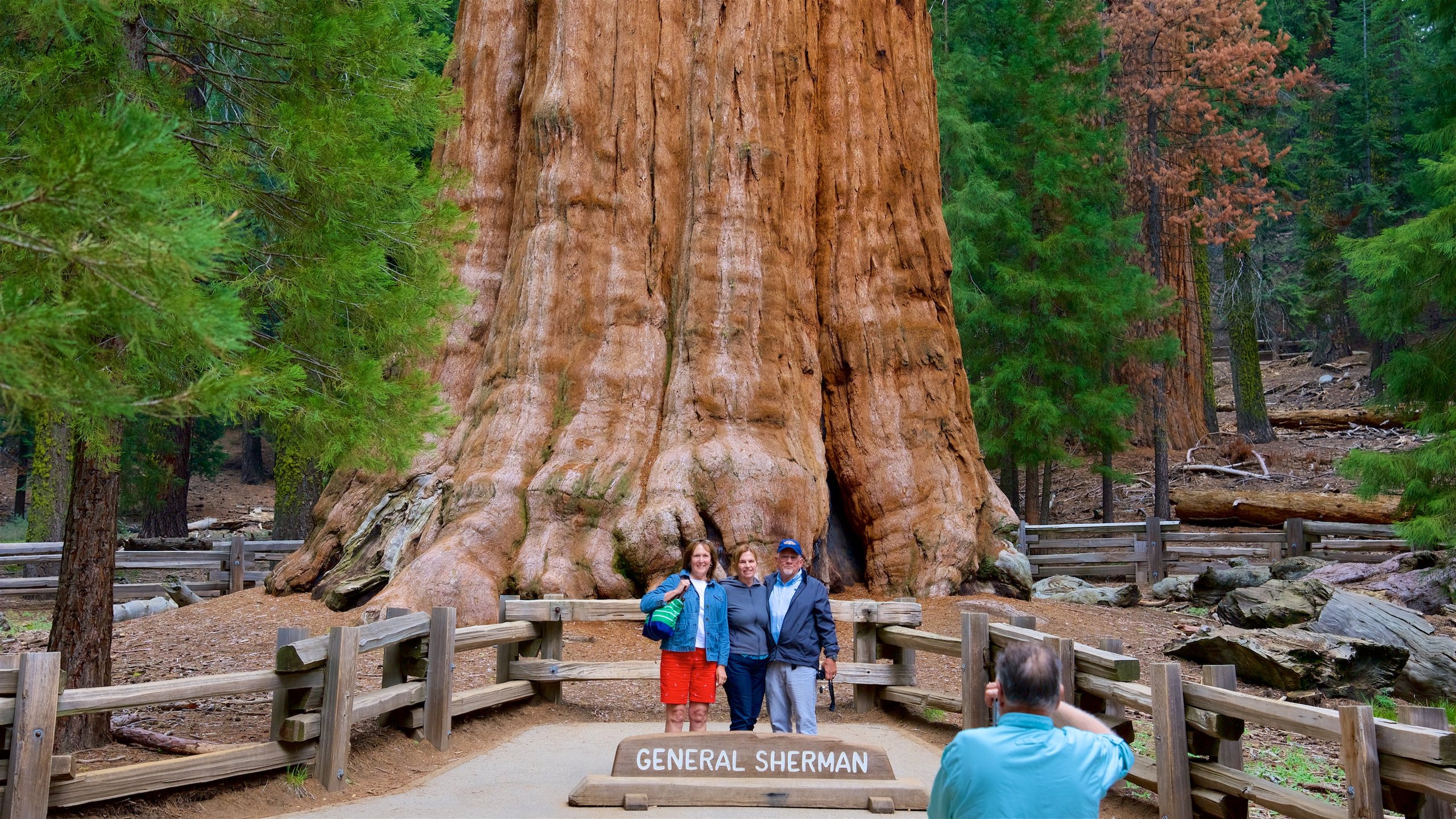 Sequoia National Park Travel Guide Best Of Sequoia National Park Sequoia National Park Travel Guide Best Of Sequoia National Park