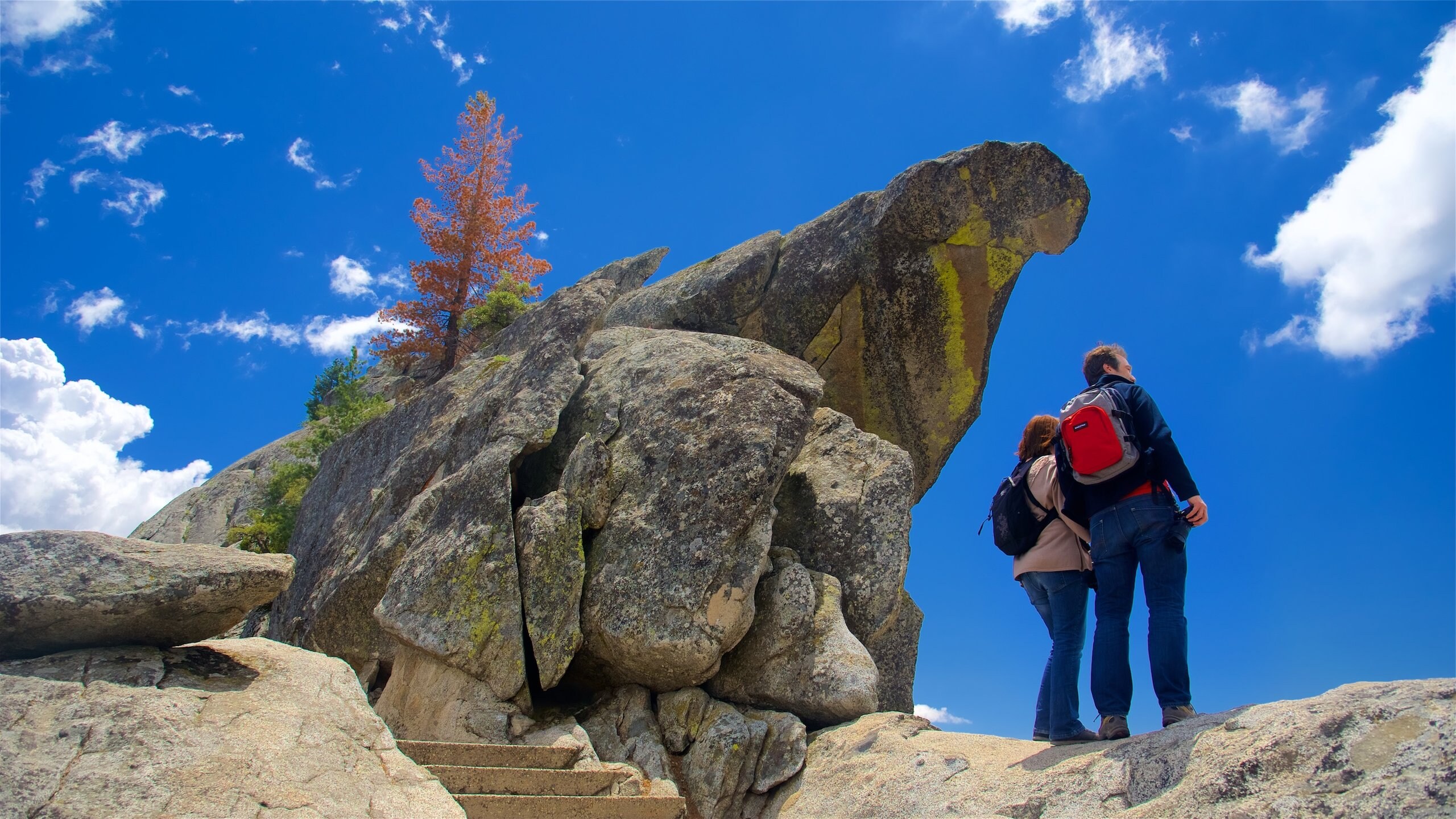 Visit Sequoia National Park Best Of Sequoia National Park California