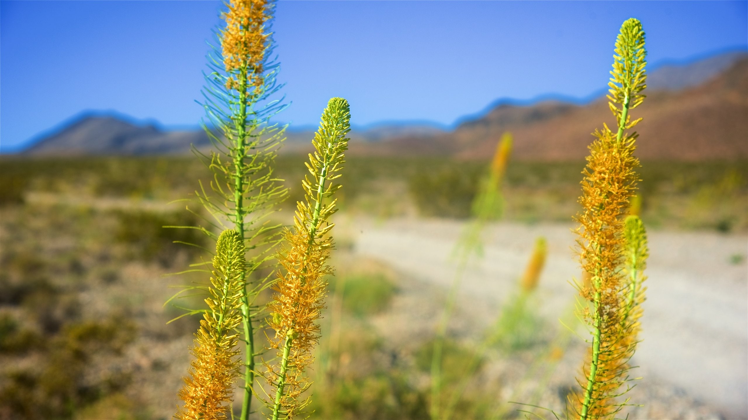 Visit Central Interior California: Best of Central Interior California ...