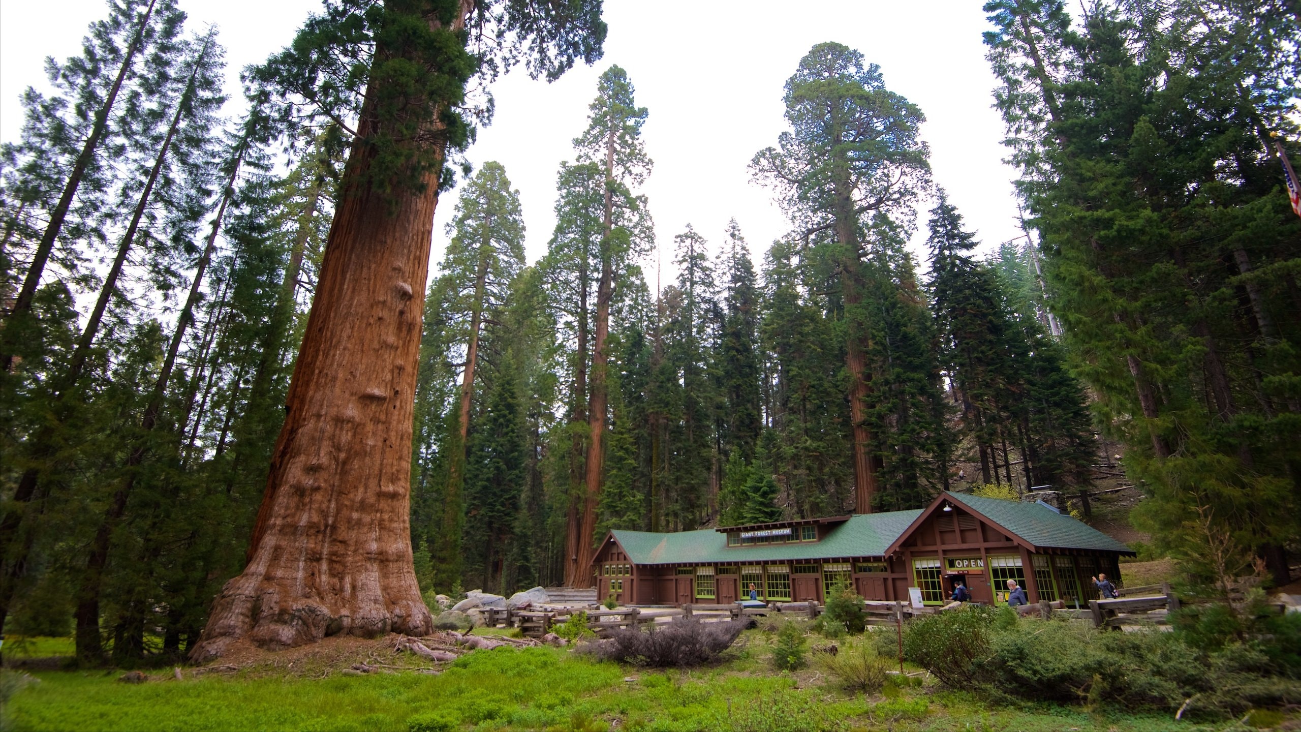 Visit Three Rivers: Best of Three Rivers, California Travel 2022 ...