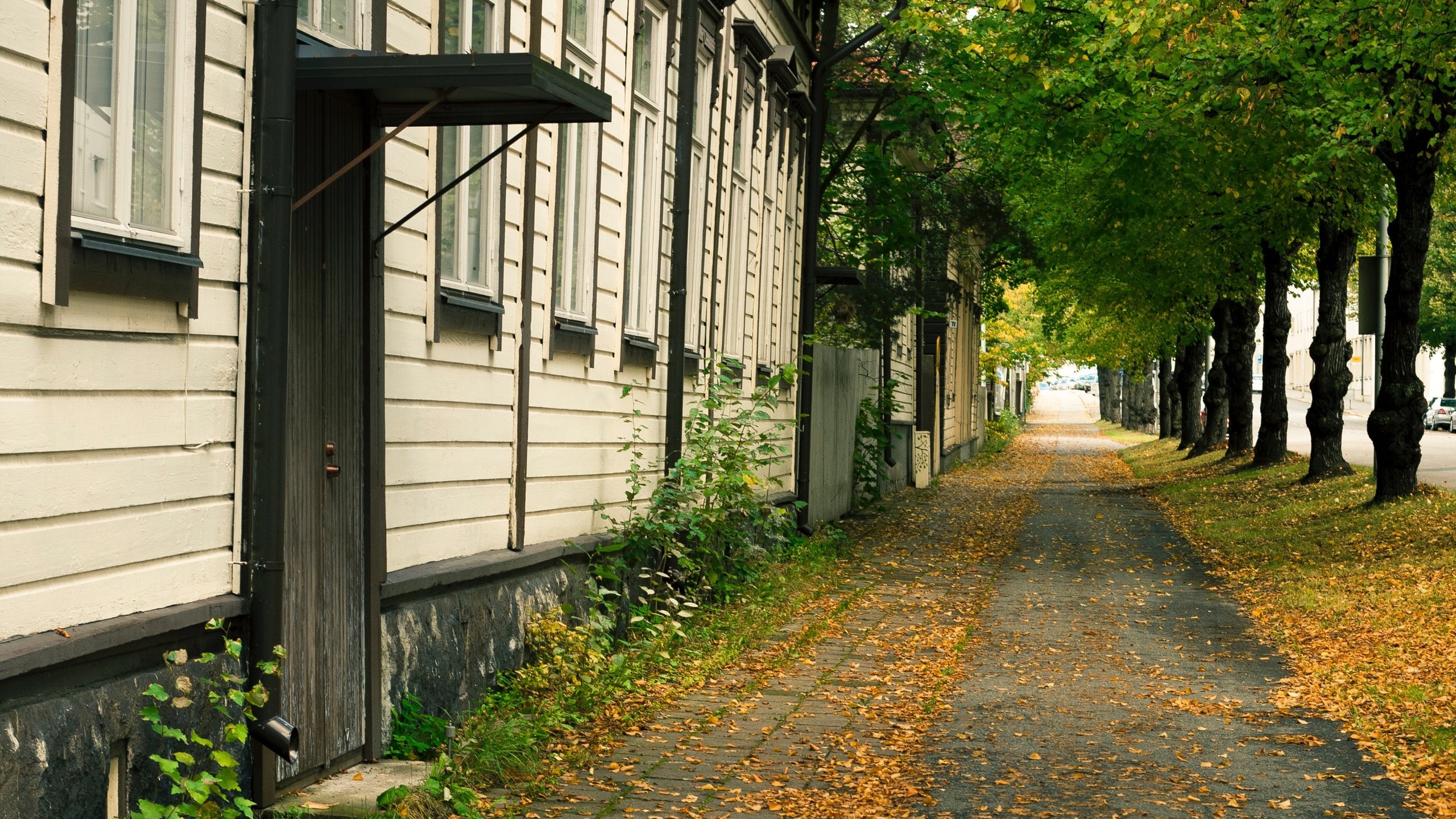 Visit Turku: 2023 Travel Guide for Turku, Southwest Finland | Expedia