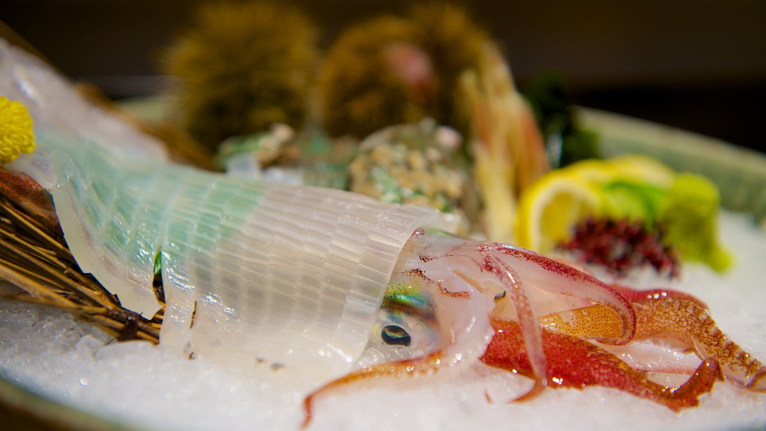 Visit Fukuoka: Best of Fukuoka Tourism | Expedia Travel Guide