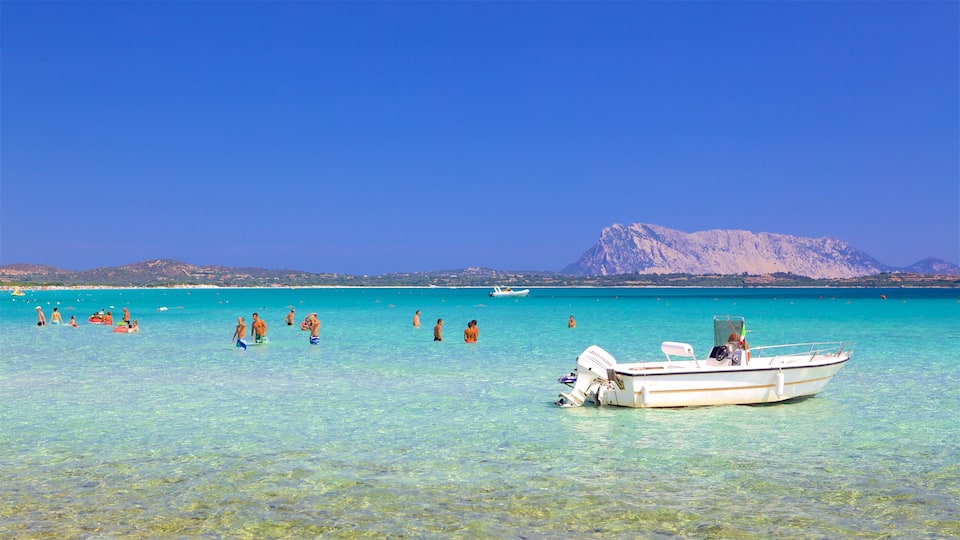 San Teodoro mostrando paisagens litorâneas e natação assim como um pequeno grupo de pessoas