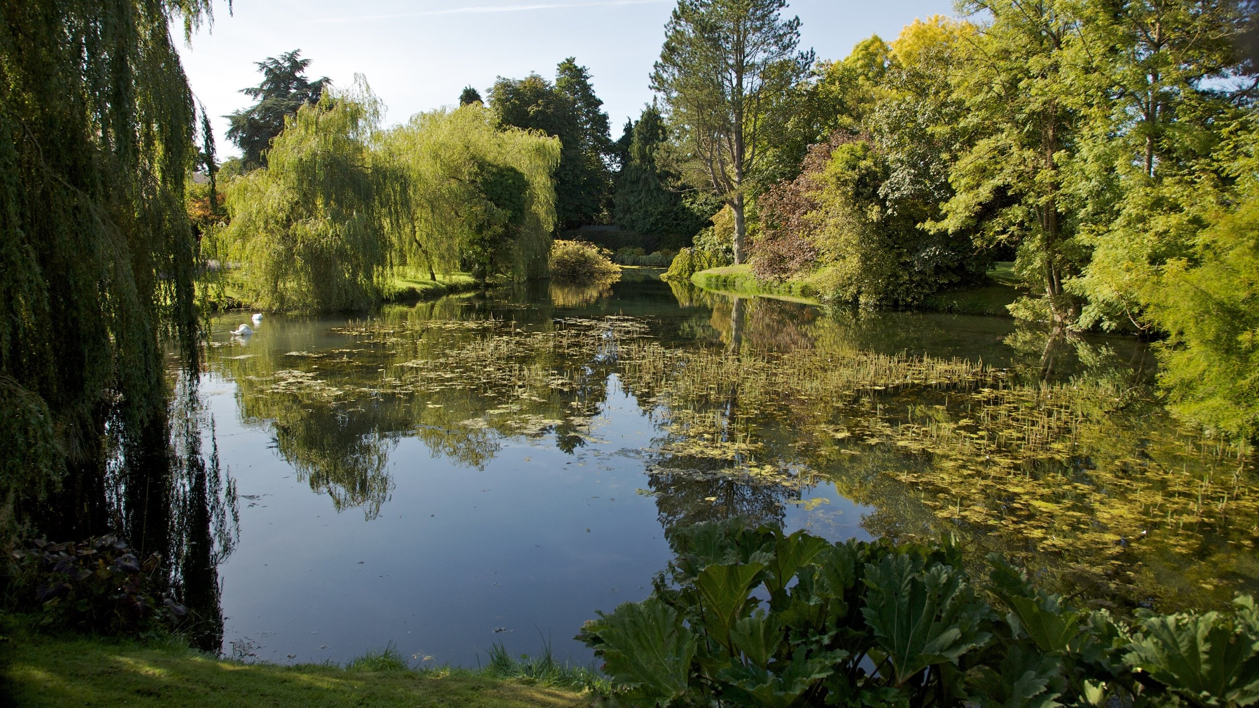 County Kildare, IE holiday accommodation: holiday houses & more | Stayz