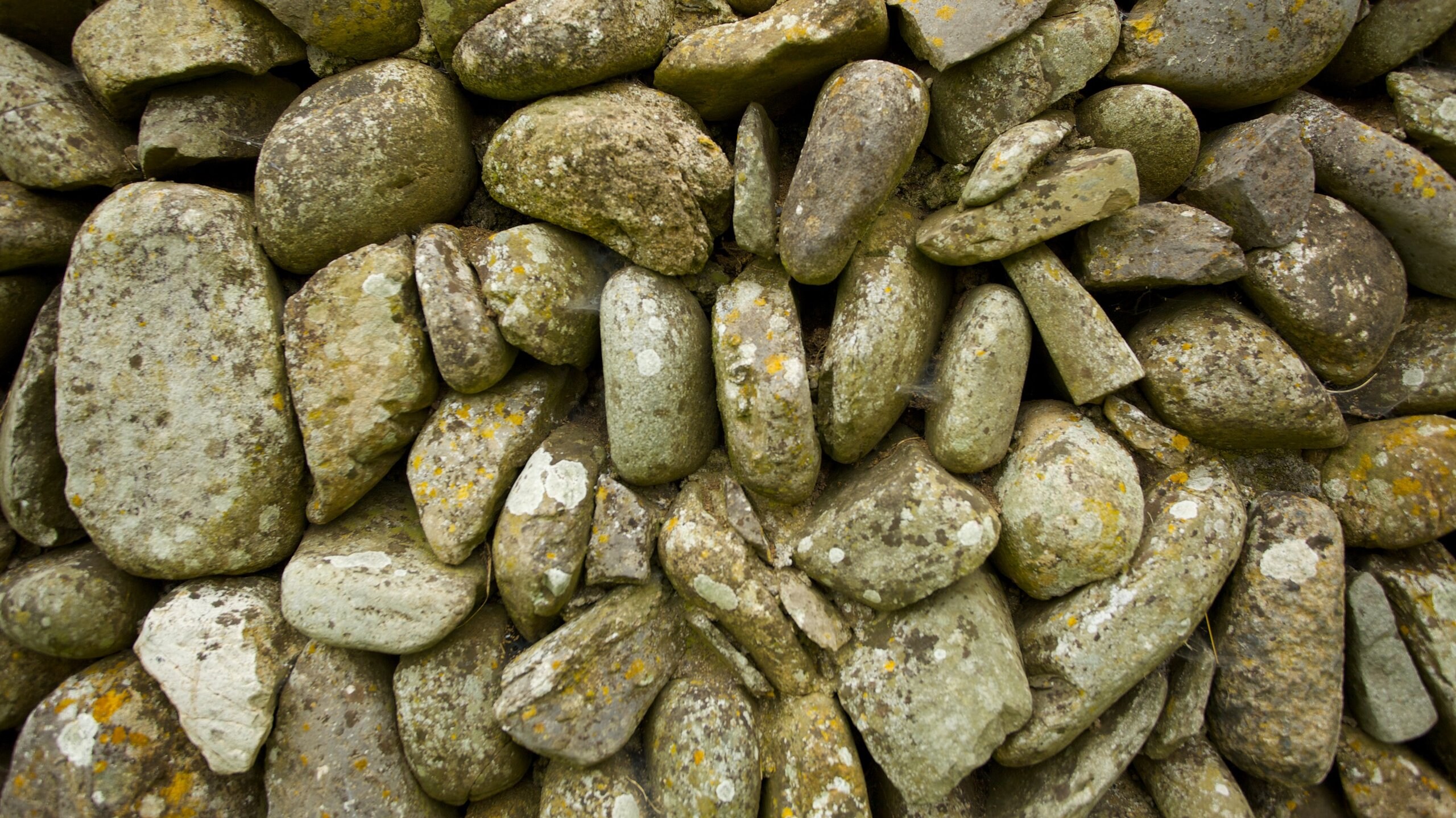 Visita Slane: scopri il meglio di Slane, Meath, nel 2023 | Viaggia con ...