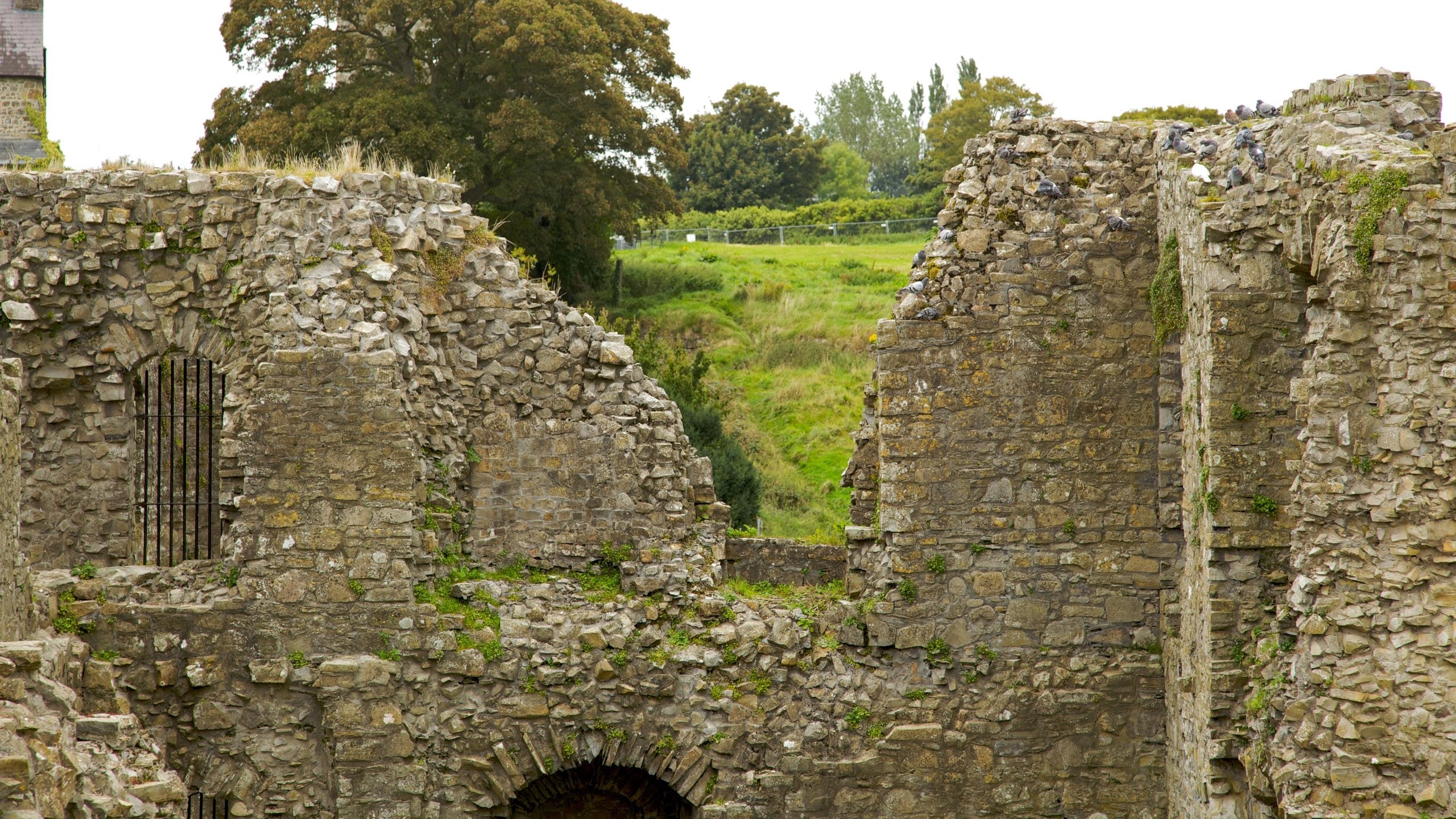 Trim Travel Guide: Best of Trim, County Meath Travel 2023 | Expedia.co.uk