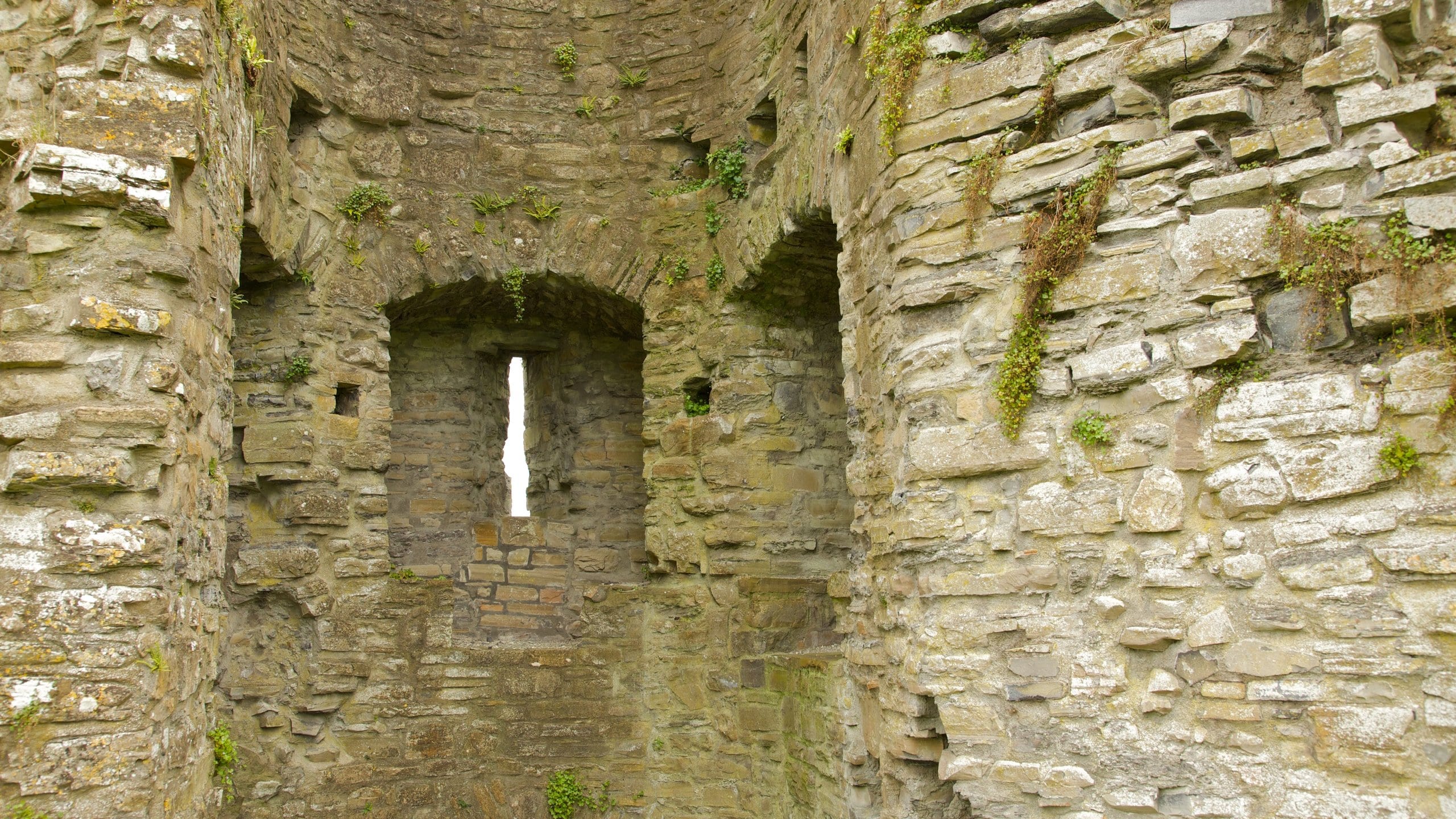 Visit Trim: 2024 Travel Guide for Trim, County Meath | Expedia