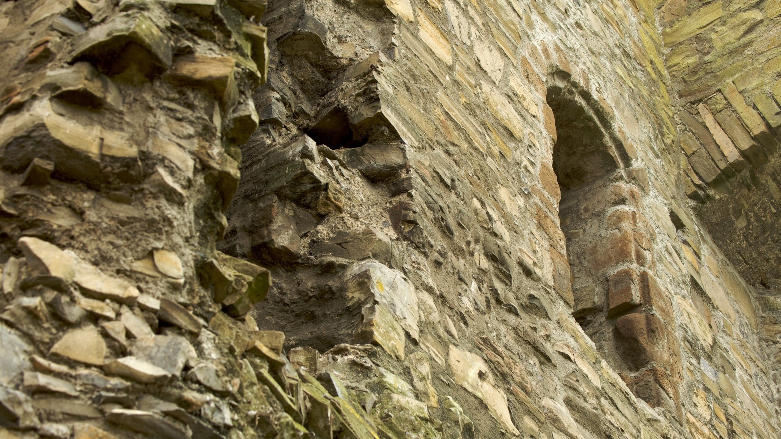 Visita Trim: scopri il meglio di Trim, Meath, nel 2023 | Viaggia con ...