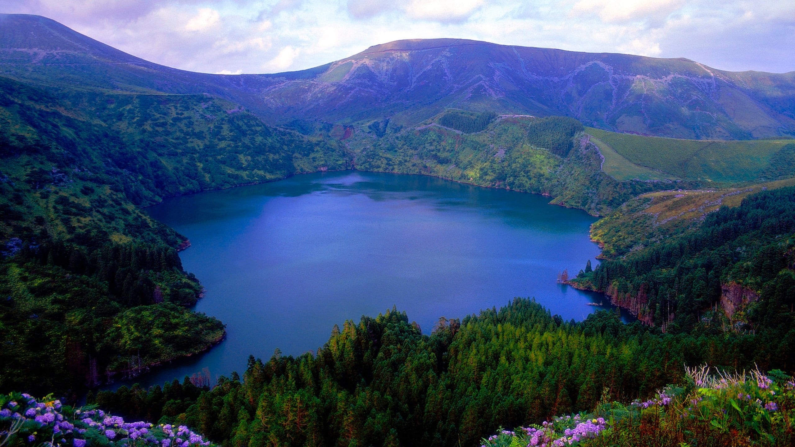 Azores, PT Vacation Rentals: house rentals & more | Vrbo