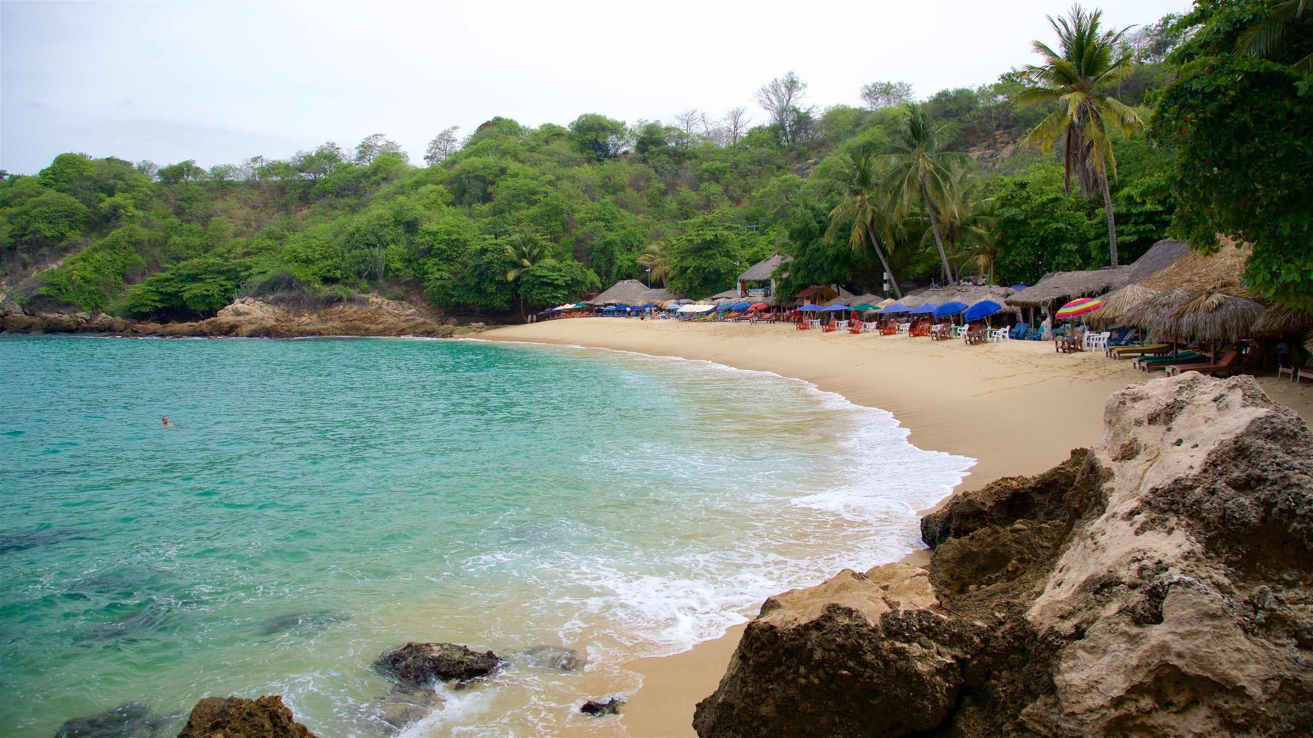 Carrizalillo Beach Vacation Rentals: hotel rentals & more | Vrbo