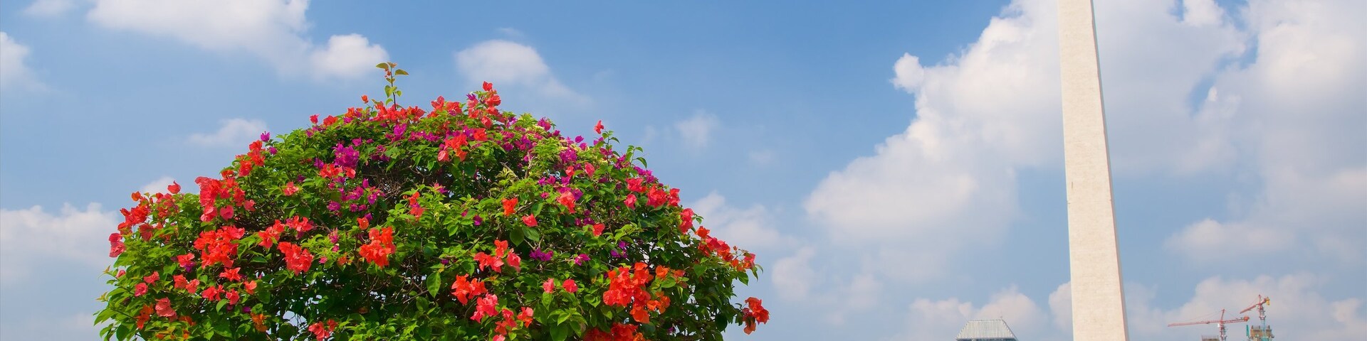 Centro de Jacarta, Jacarta, Região especial da capital Jacarta, Indonésia