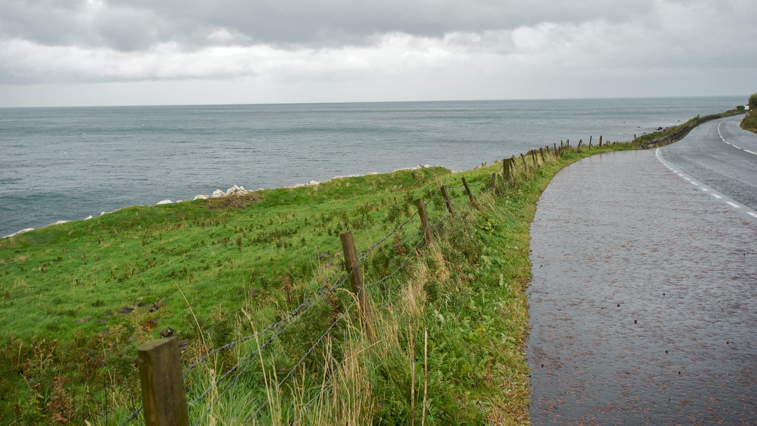 Visit Ballymena: 2023 Travel Guide for Ballymena, Northern Ireland ...