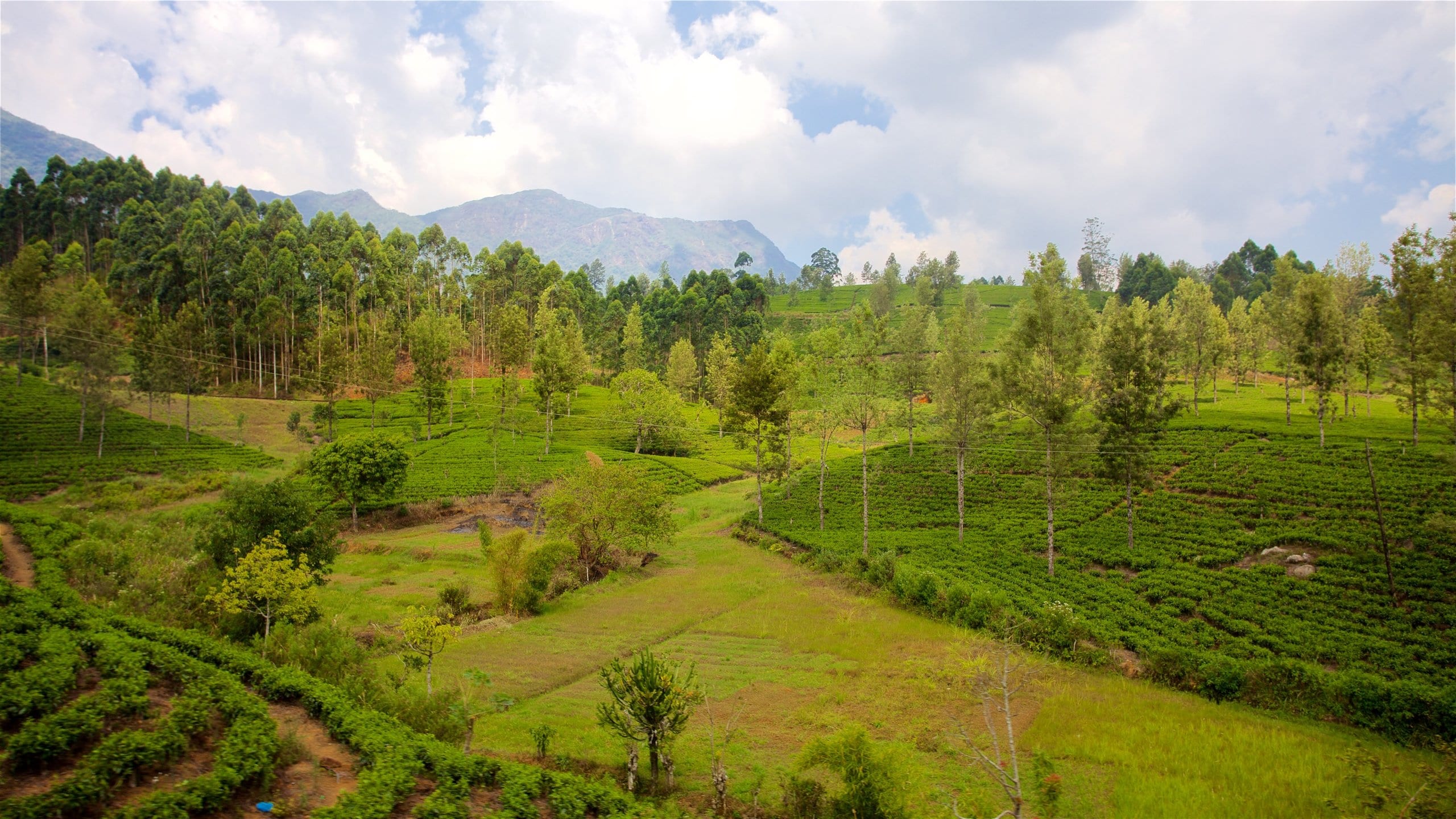 Visit Ella: 2023 Travel Guide for Ella, Uva Province | Expedia