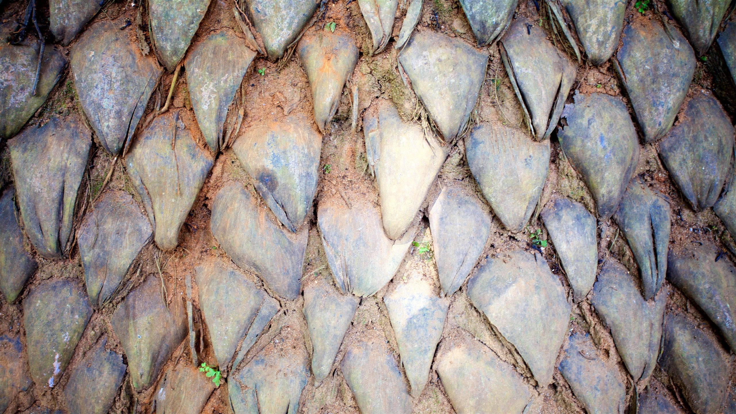 Naula turismo: Qué visitar en Naula, Provincia Central, 2024 | Viaja ...