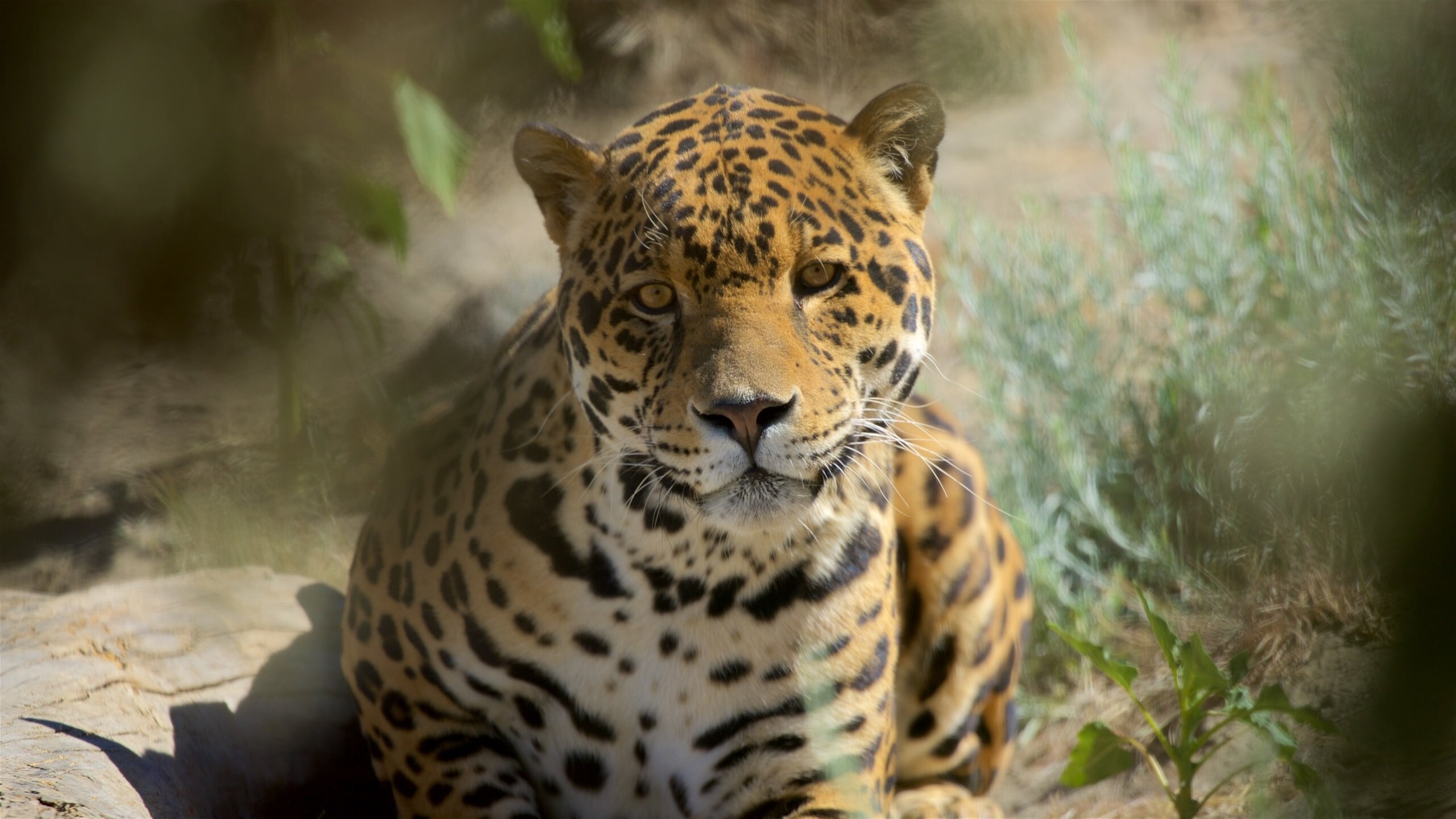 Animal Ark Tours - Book Now | Expedia