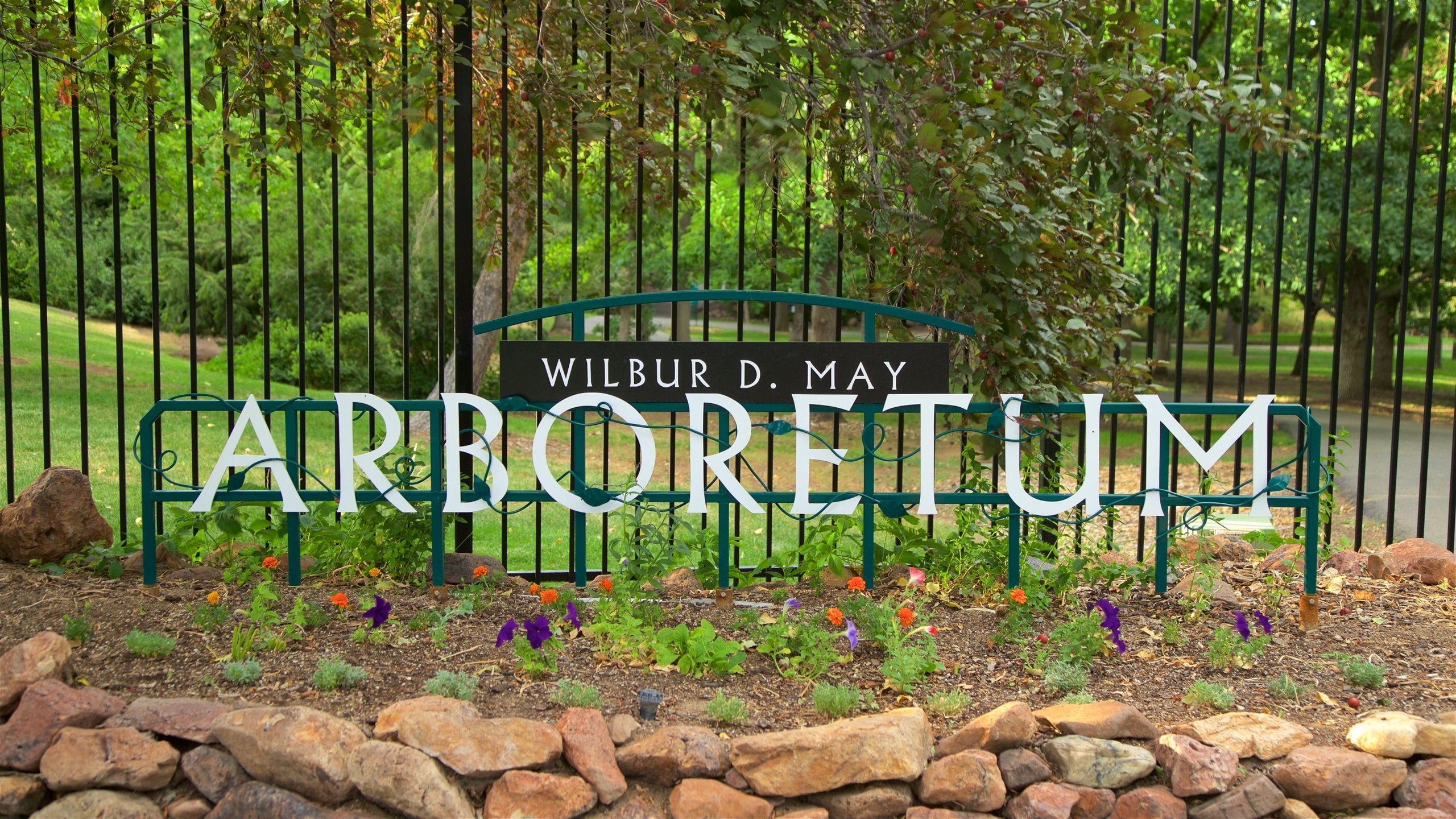 Rancho San Rafael Park Tours - Book Now | Expedia