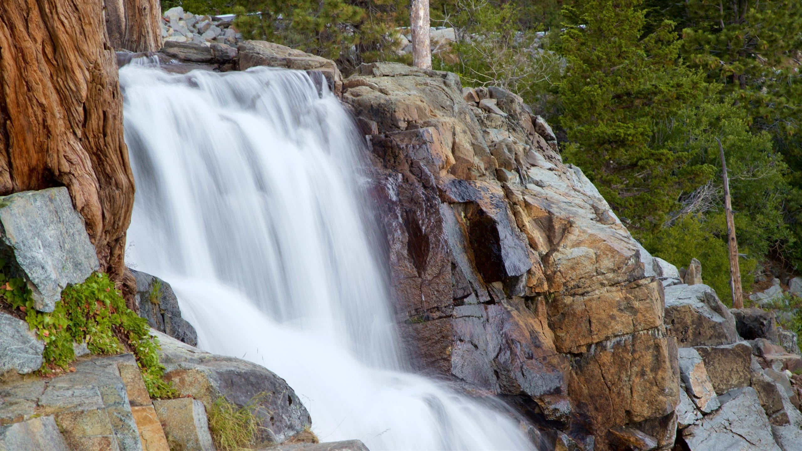 Ferienwohnung Eagle Falls Trail, Tahoma: Ferienhäuser & mehr | FeWo-direkt