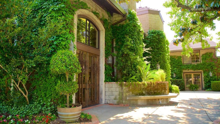 Dry Creek Vineyard