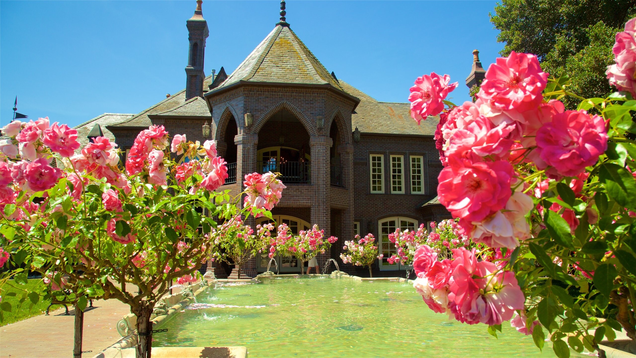 Ledson Castle Wedding Ledson Winery Is A Must! Graceful Glam By