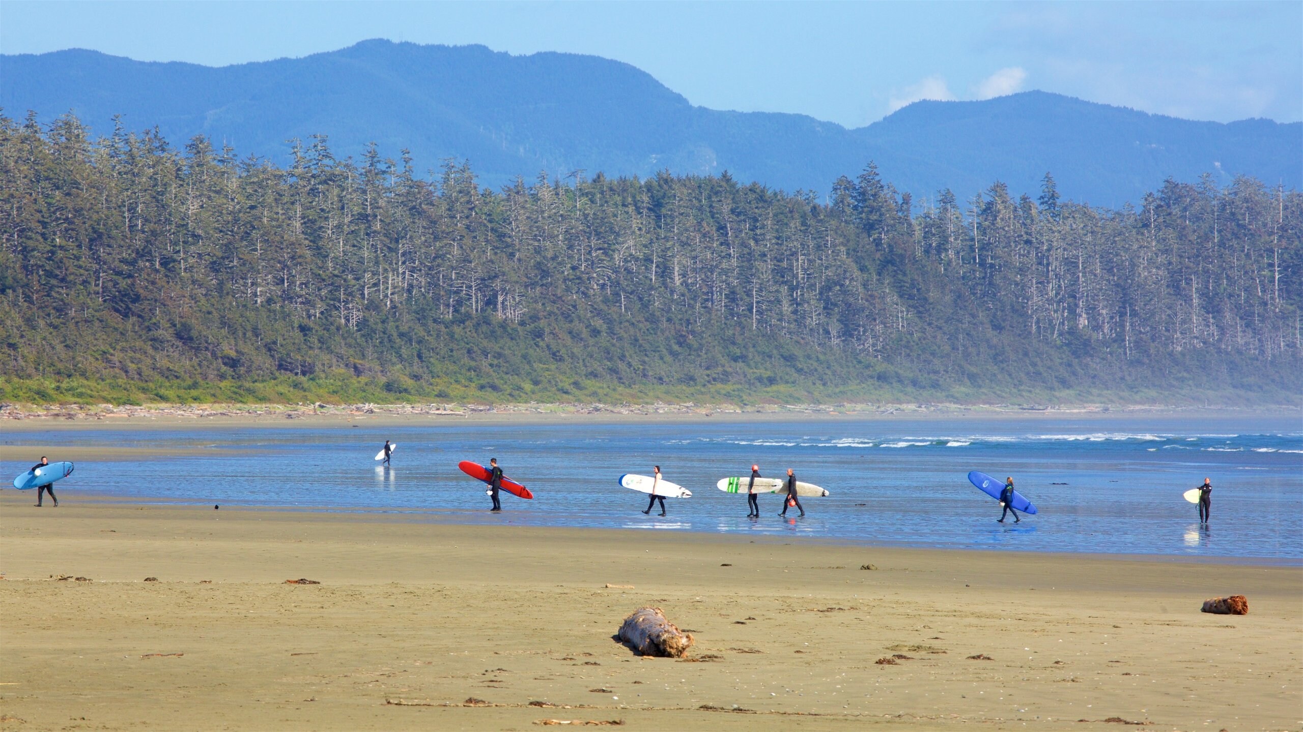 Long Beach Vancouver Island A Tiny Place In The World
