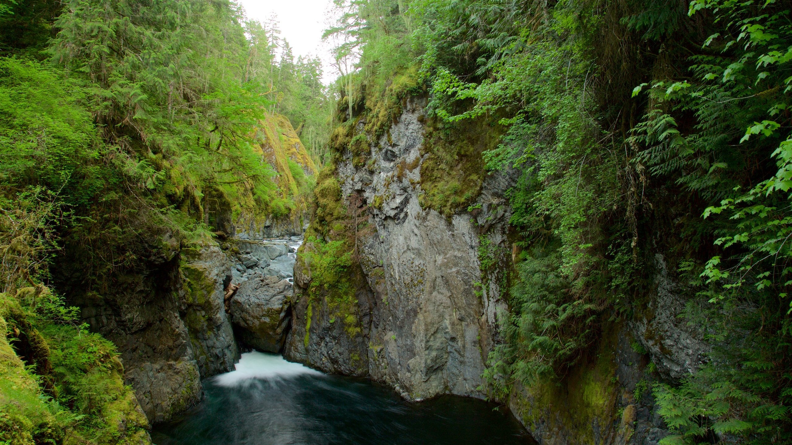 Visit Errington: 2024 Travel Guide for Errington, British Columbia ...