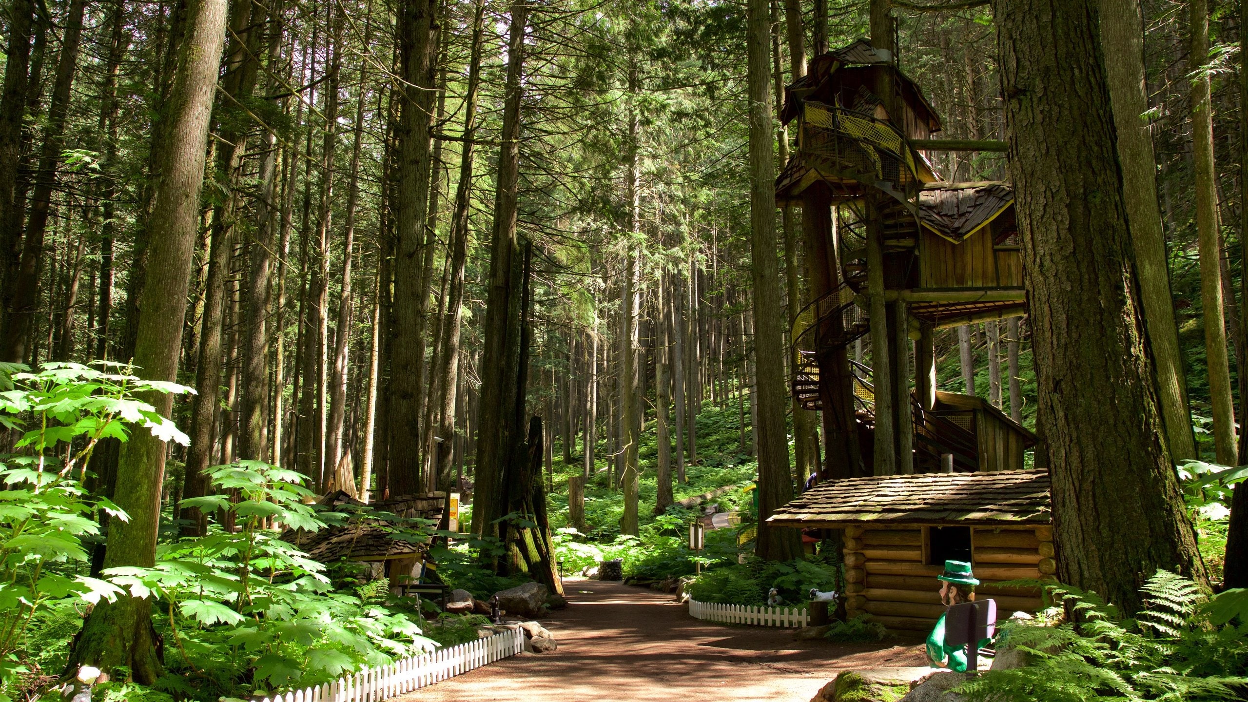 British Columbia Forestry