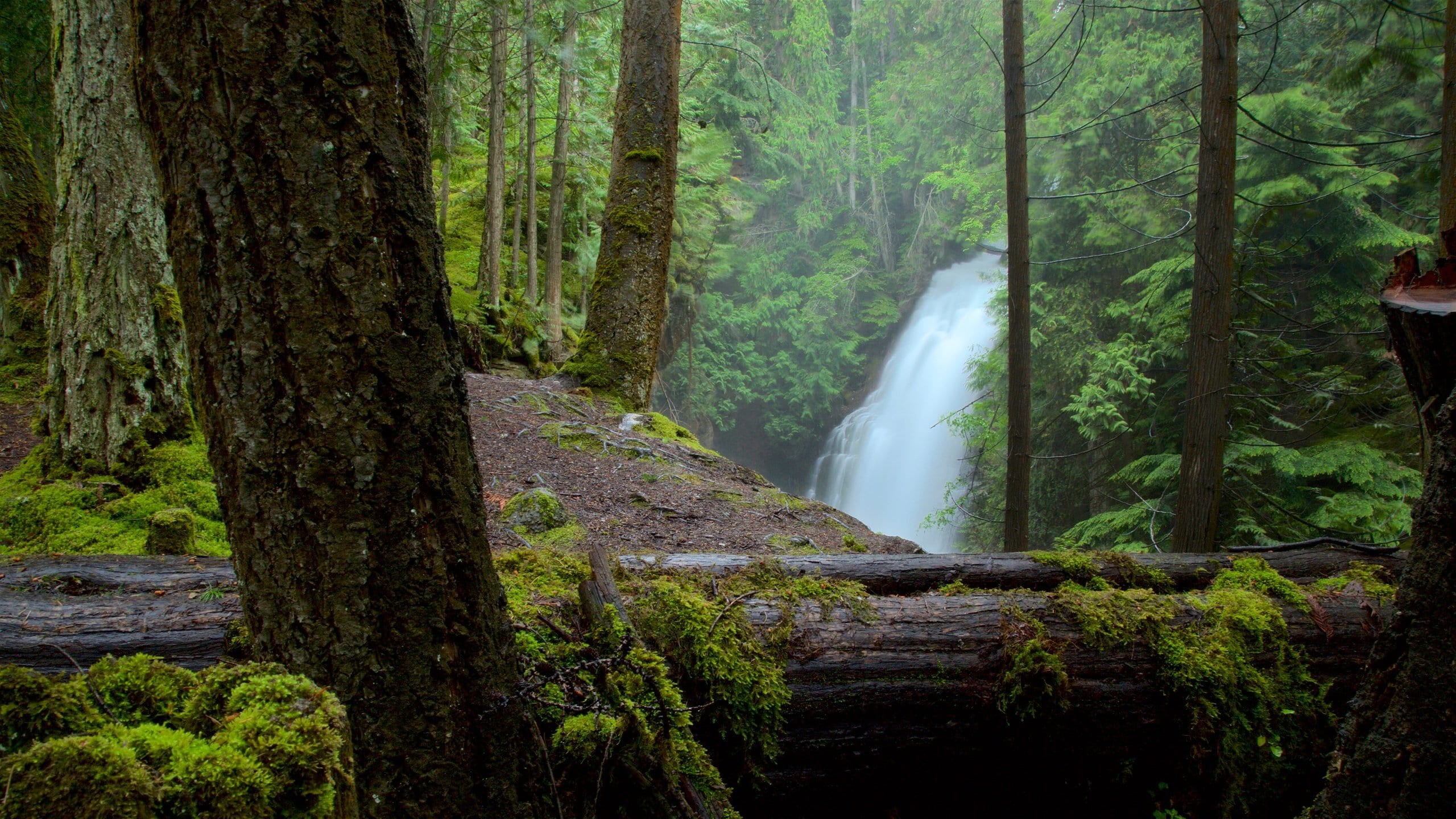 Kaslo, BC, CA Vacation Rentals: house rentals & more | Vrbo