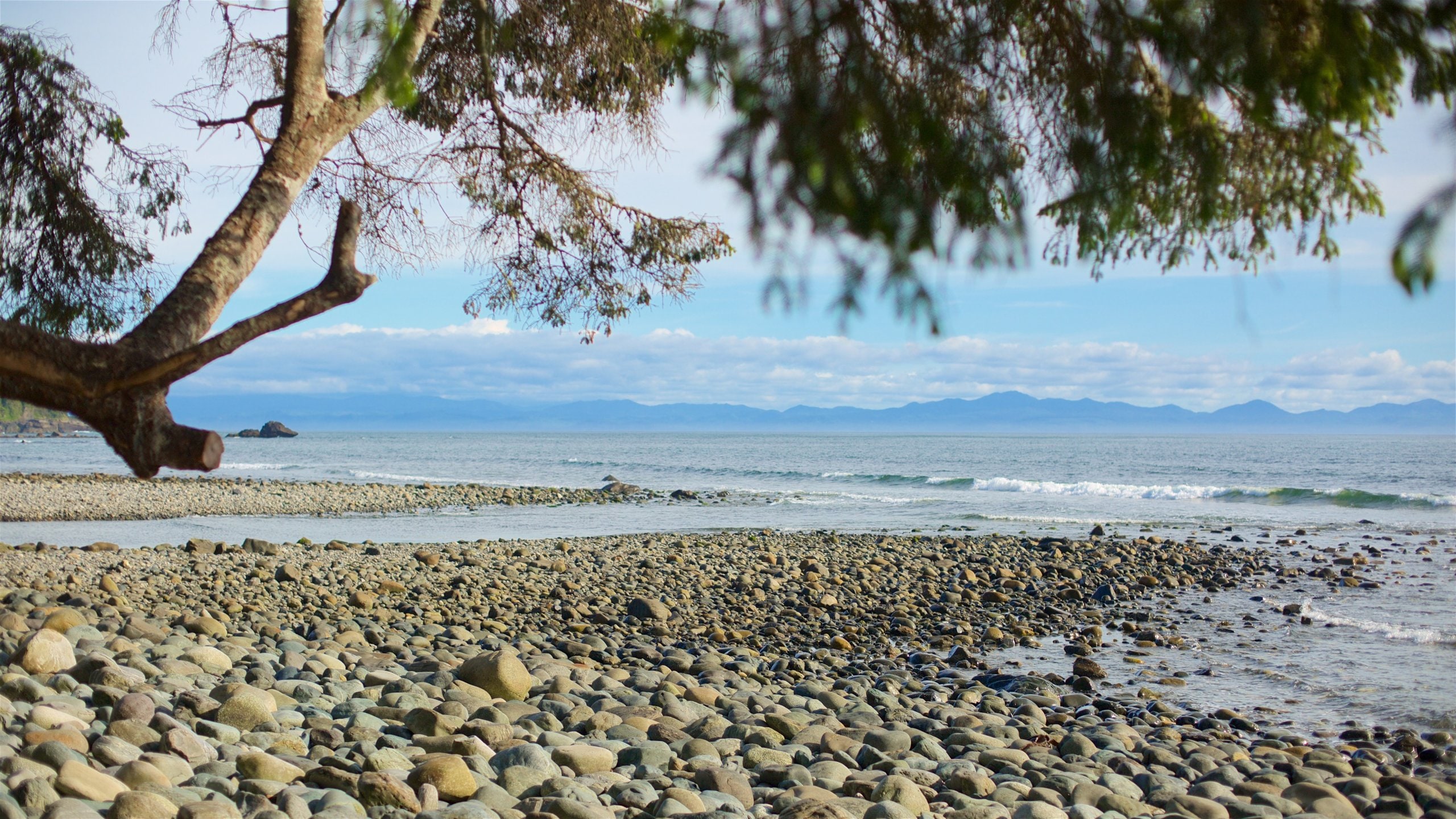 Sombrio Beach Vacation Rentals: house rentals & more | Vrbo