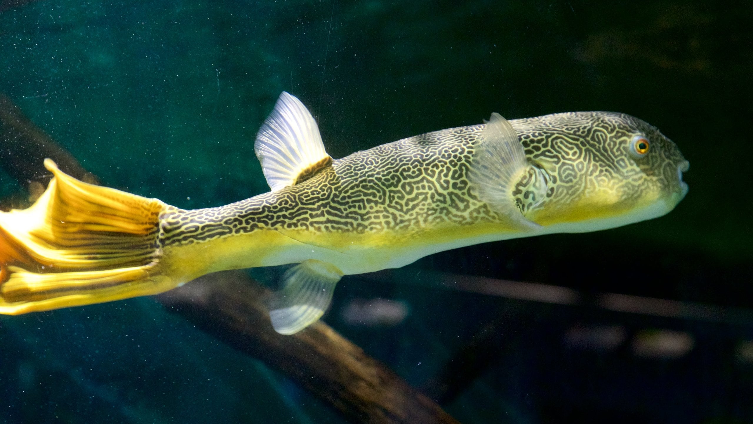 Belle Isle Aquarium Tours - Book Now | Expedia