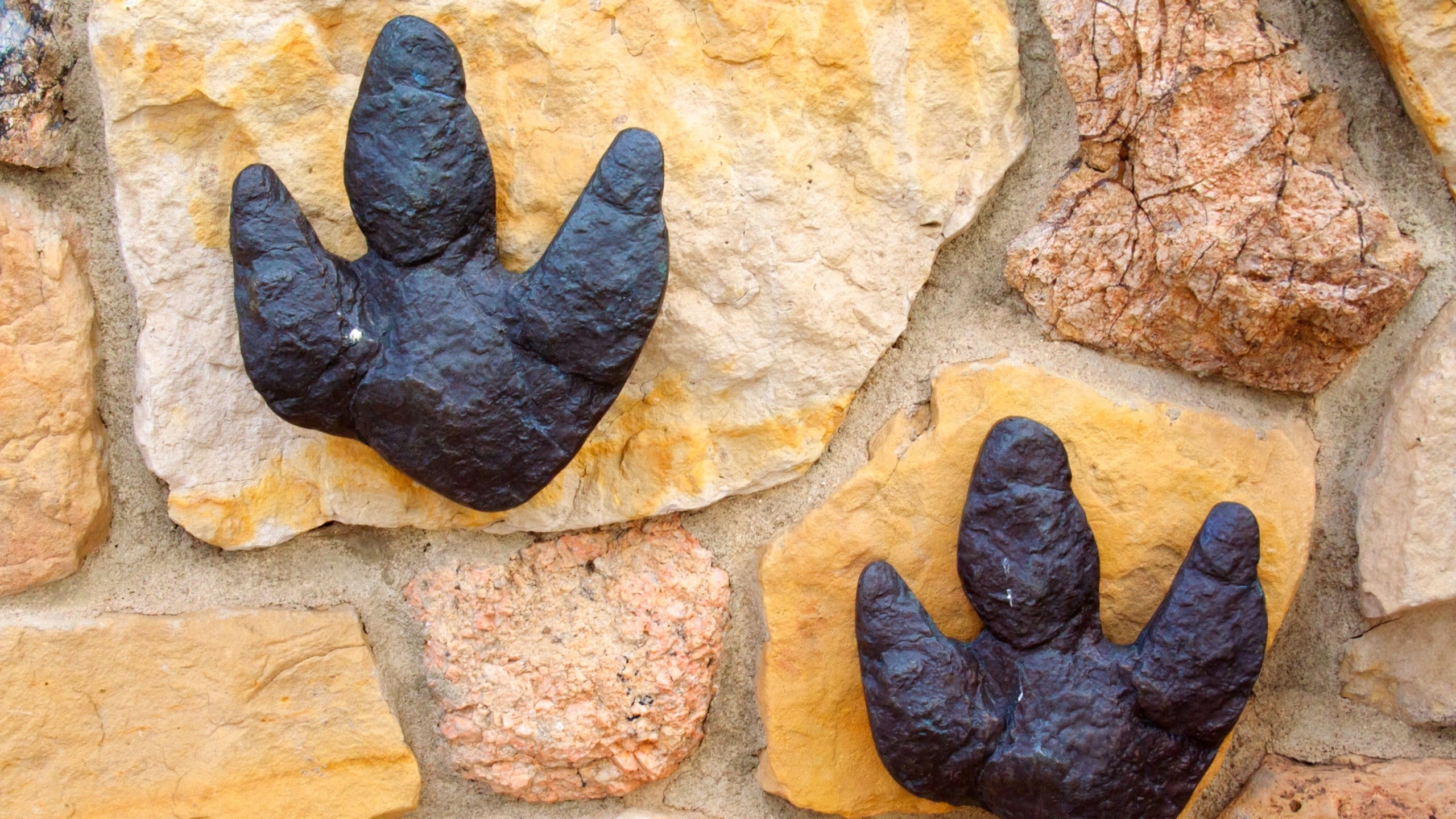 Dinosaur Ridge a Denver: Tour e Visite Guidate | Expedia.it