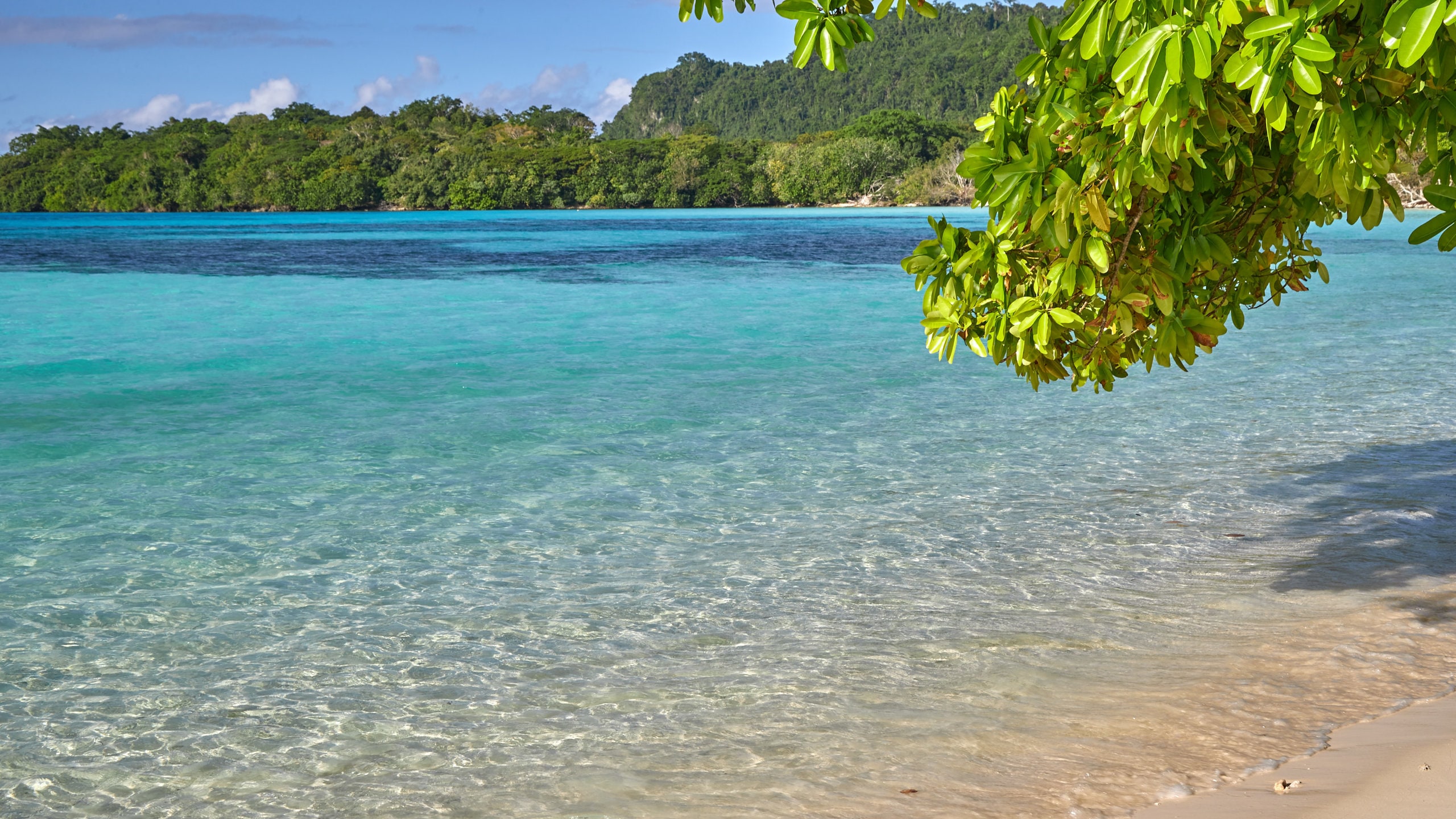 Lonnoc Beach, Hog Harbour Vacation Rentals: & more | Vrbo