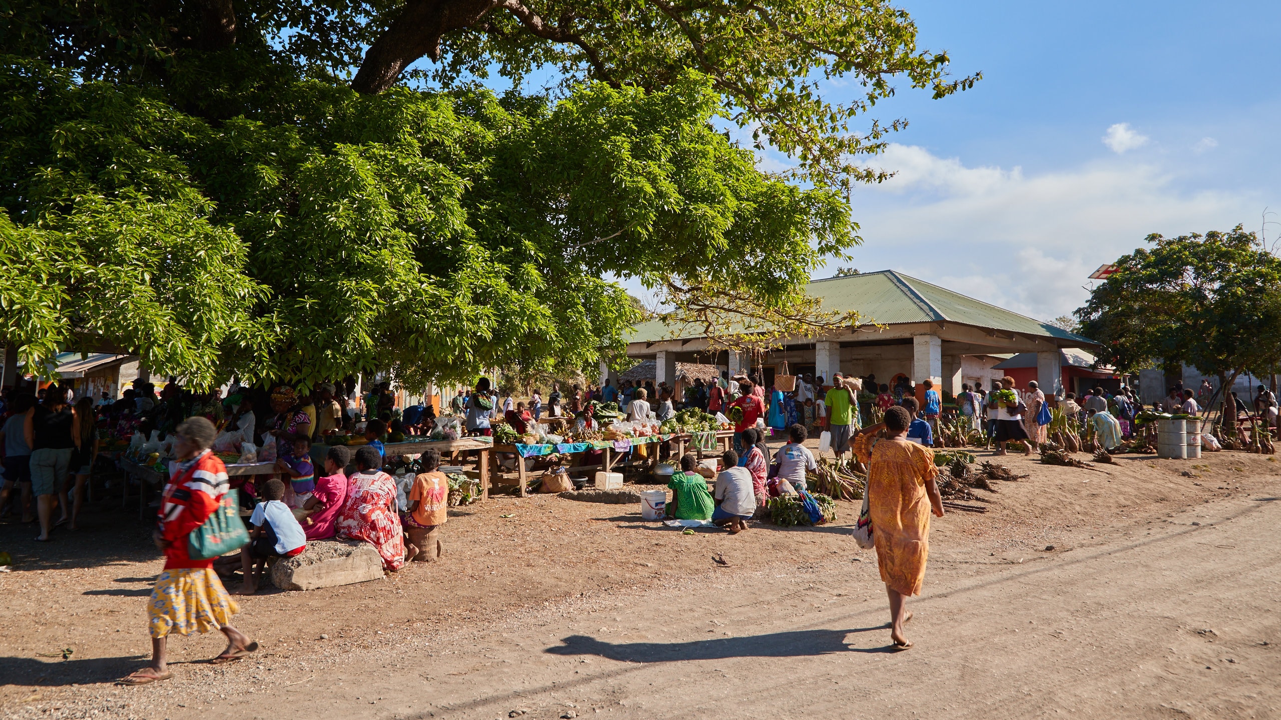 10 TOP Things to Do in Tanna Island August 2024 | Expedia