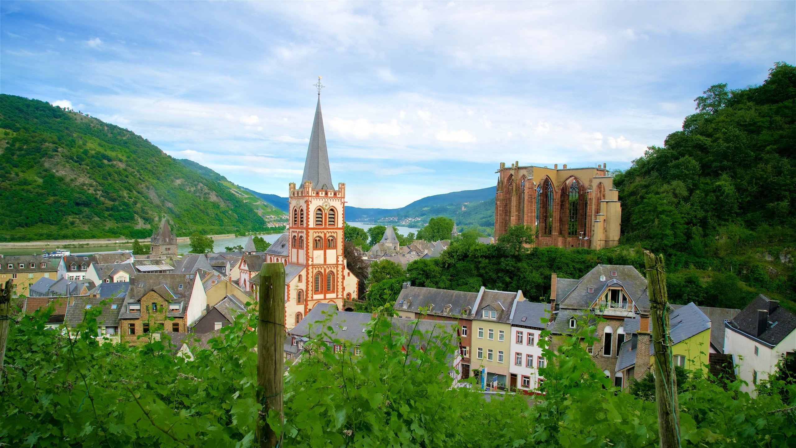 Visit Bacharach: 2024 Travel Guide for Bacharach, Rhineland-Palatinate ...