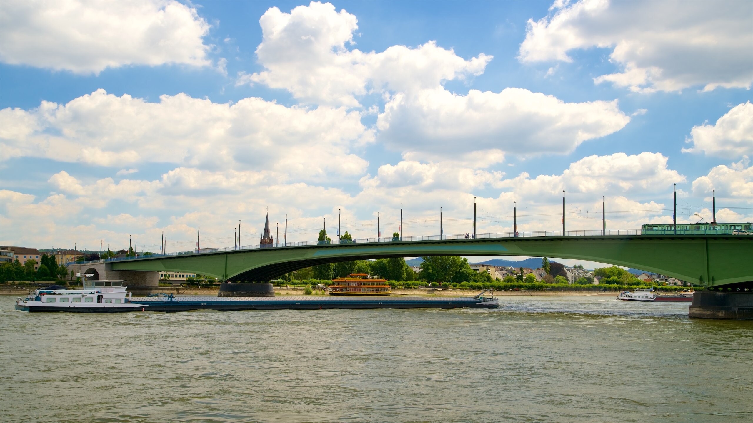 Kennedy Bridge Tours - Book Now | Expedia