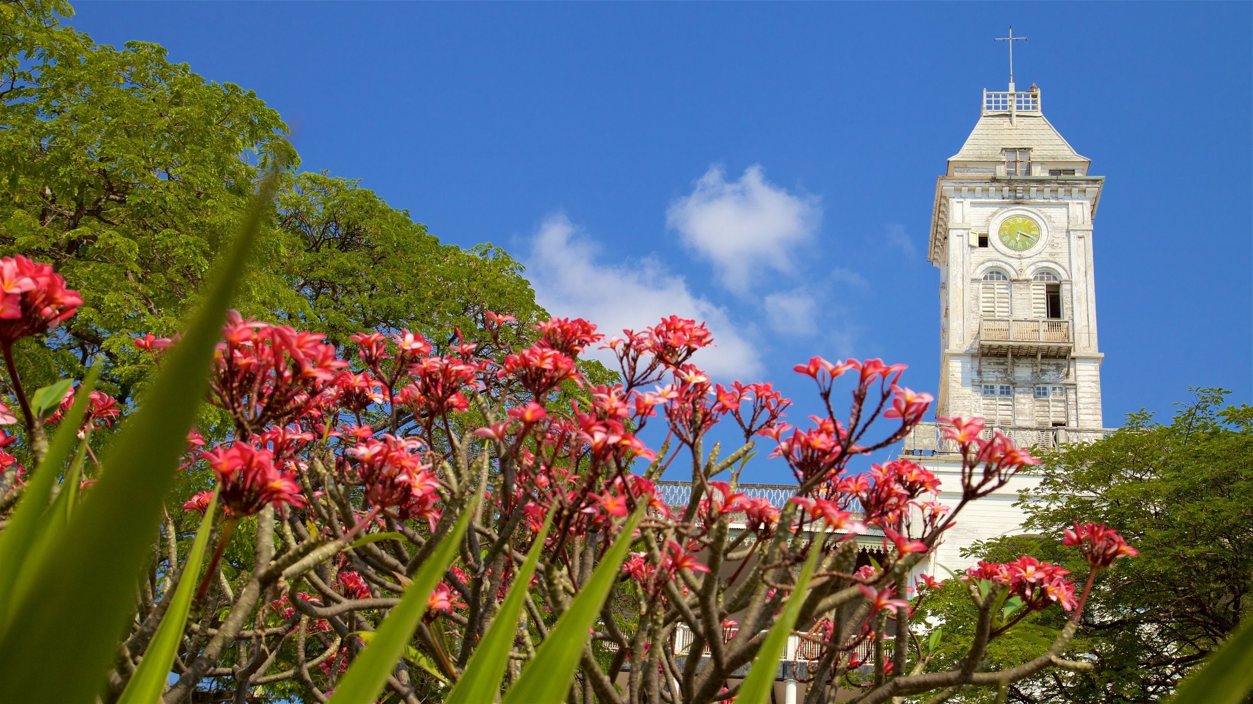 Parc Forodhani Gardens : Stone Town - Visites & Activités | Expedia.fr