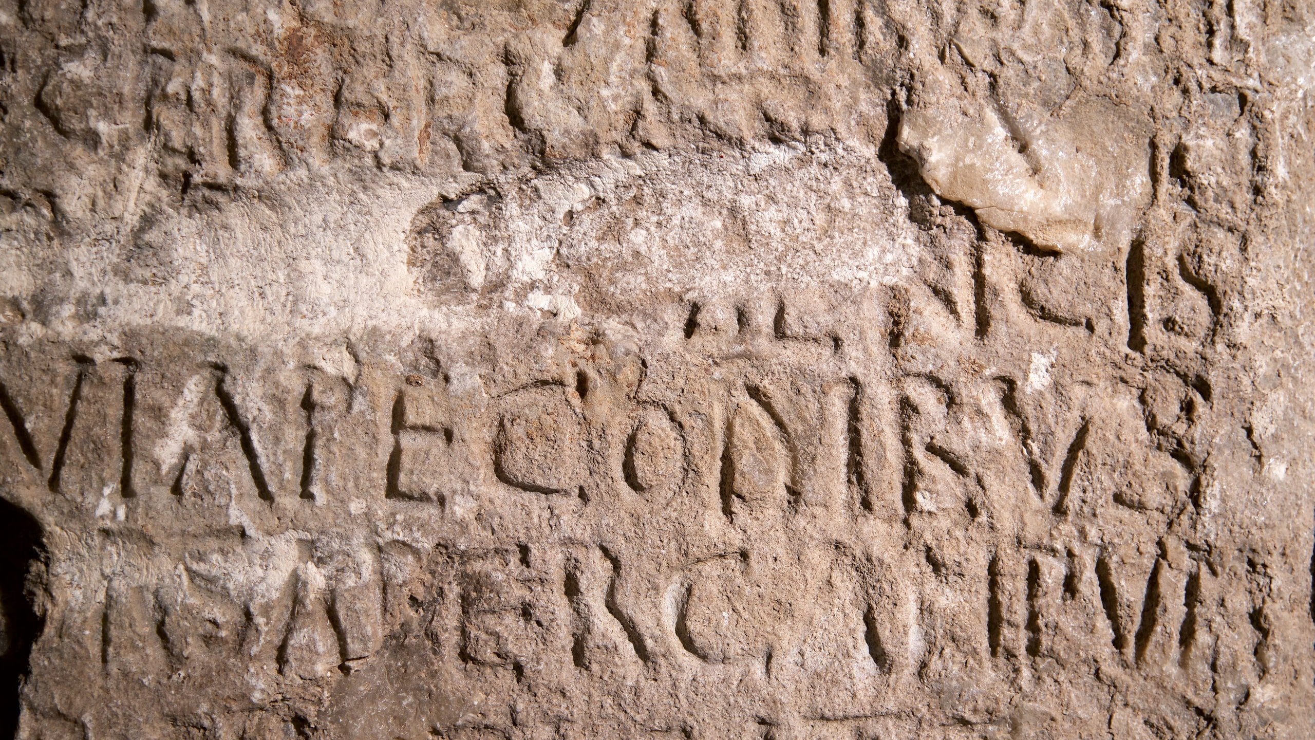Visita Museo del Foro de Caesaraugusta en Casco antiguo de Zaragoza ...