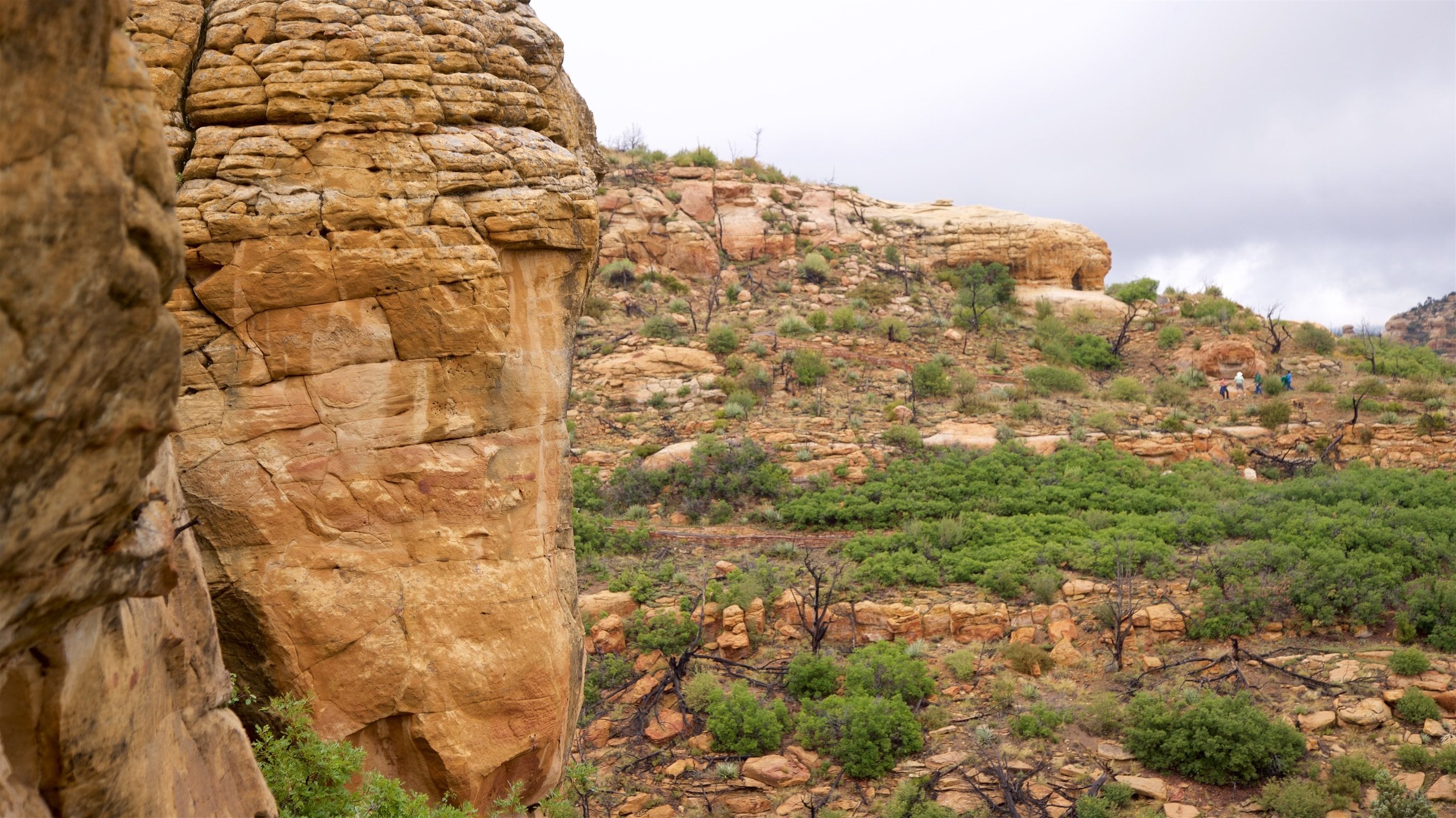 Step House Trail, Mesa Verde National Park Vacation Rentals: house ...