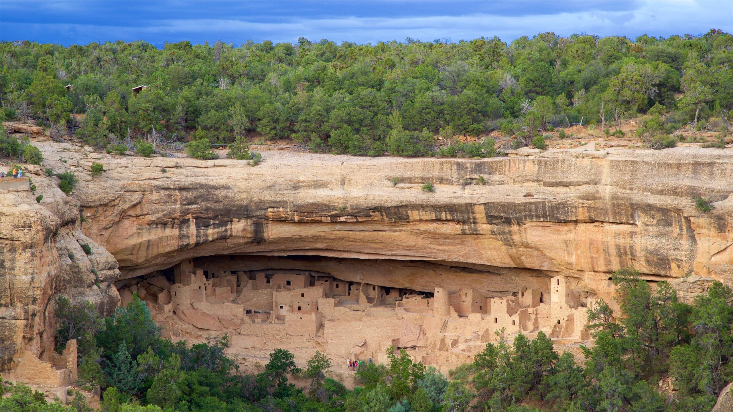 Se Permiten Perros En El Parque Nacional Mesa Verde
