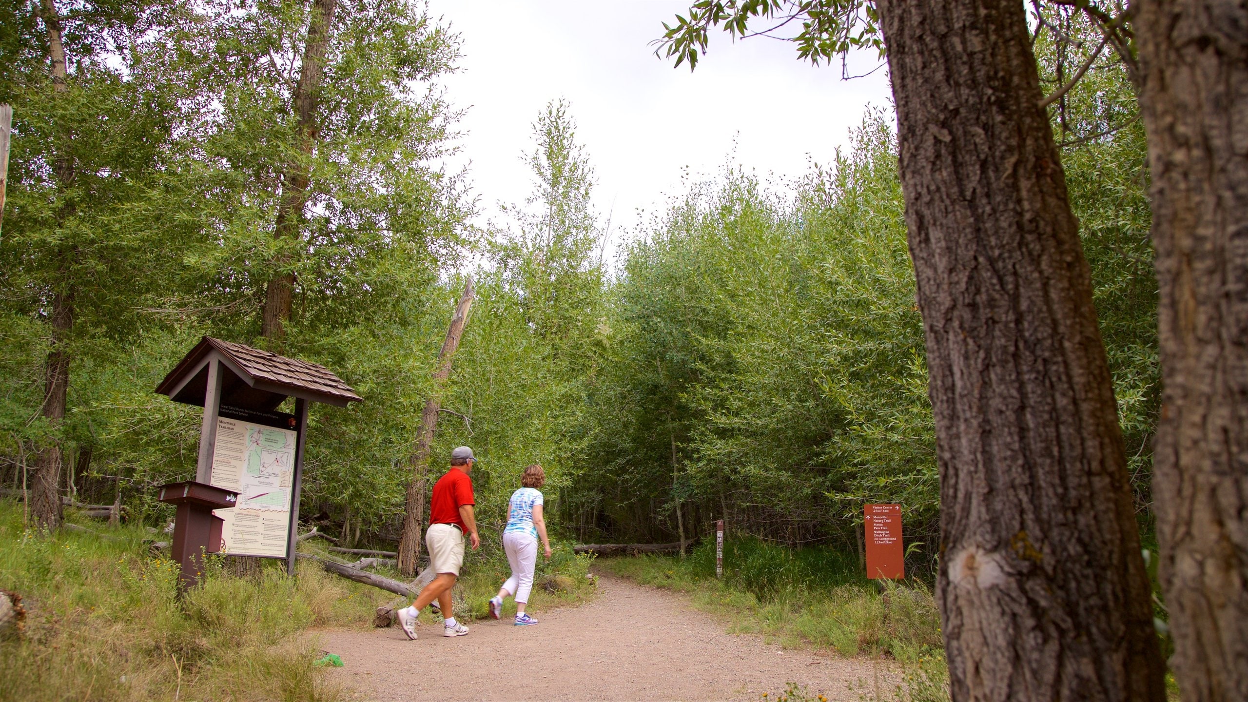 Mosca Pass, US Vacation Rentals: cabin rentals & more | Vrbo