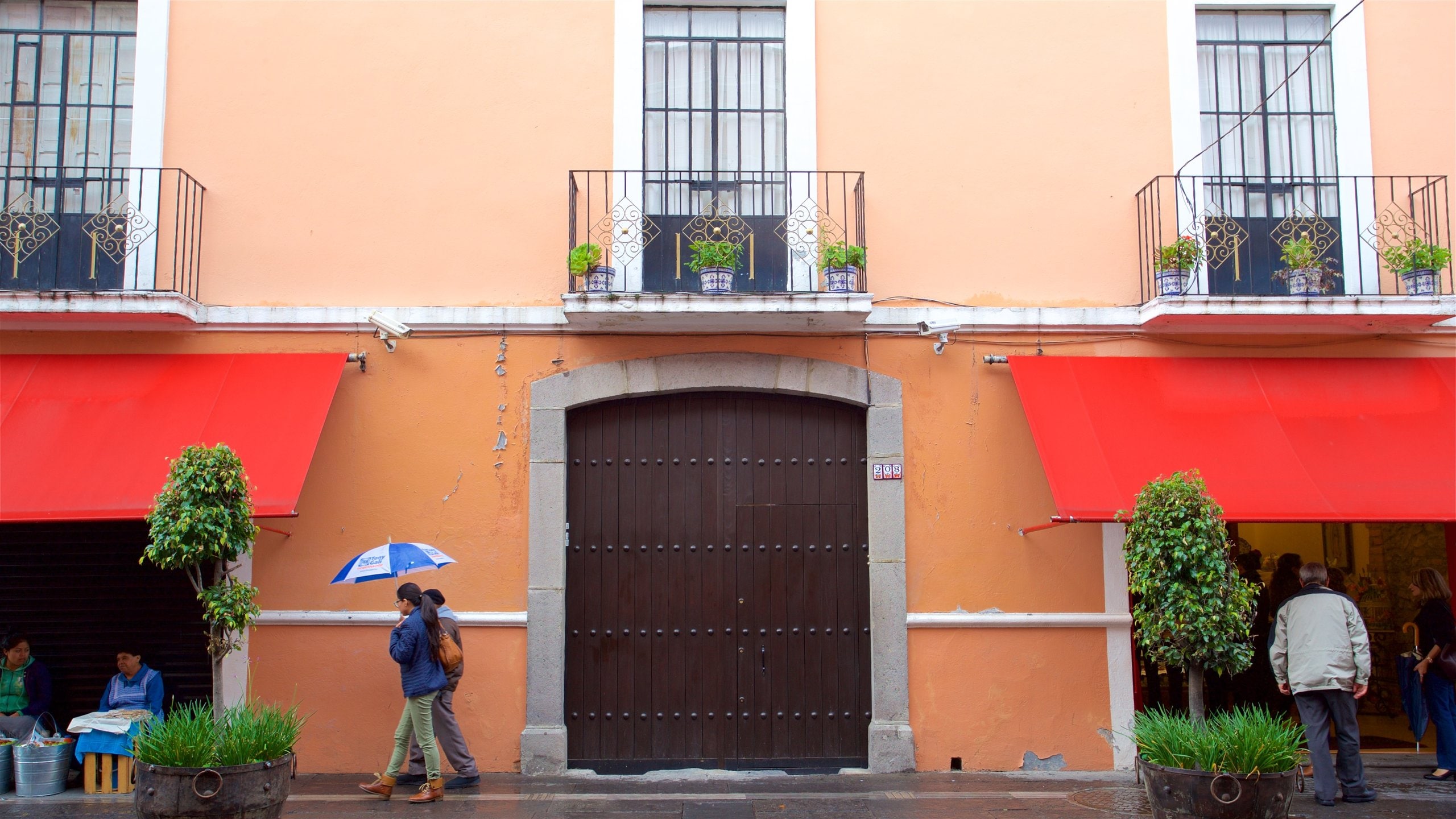 Candy Street Package Deals | Orbitz