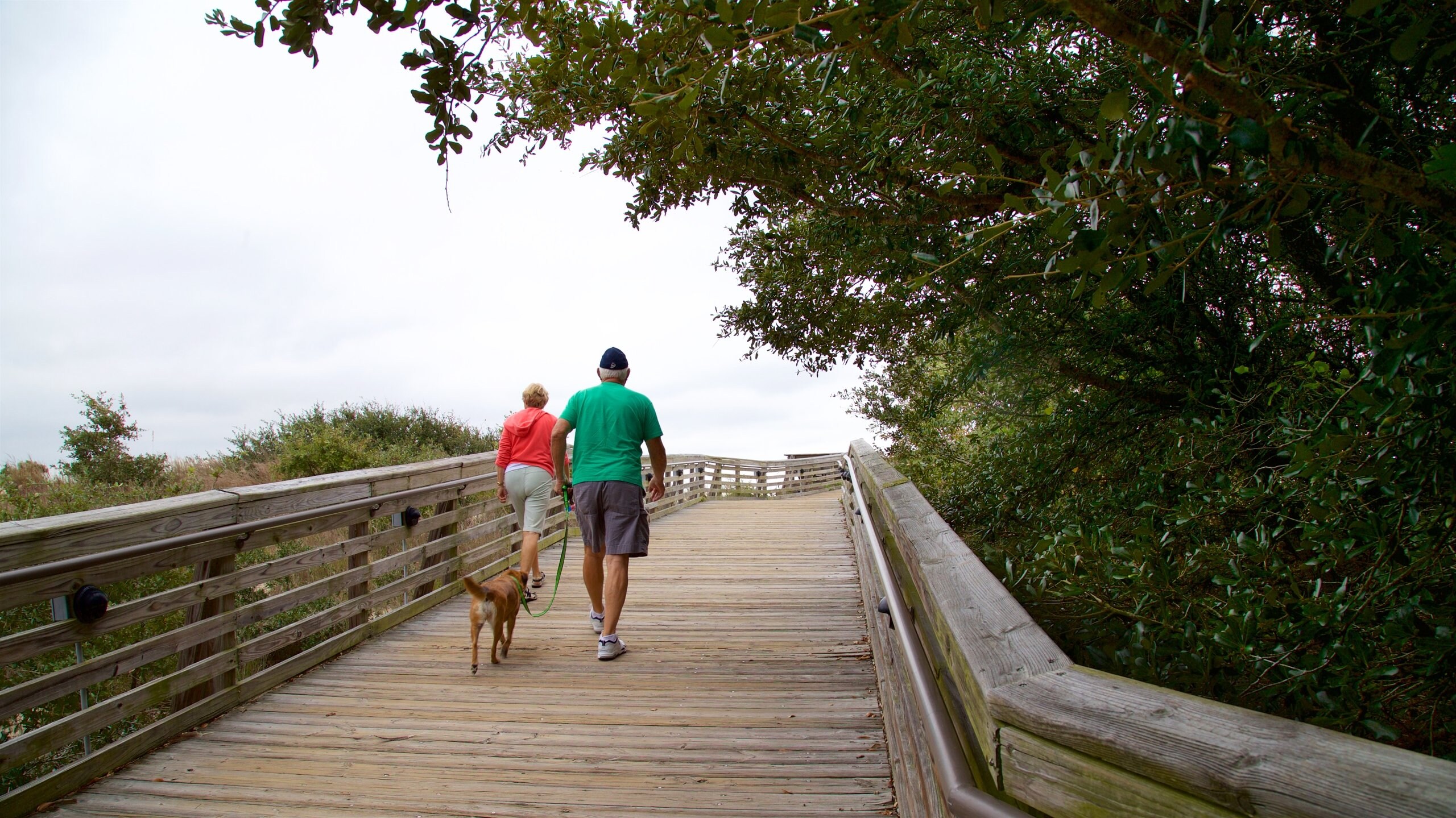 First Landing State Park in Northeast Virginia Beach - Touren und ...