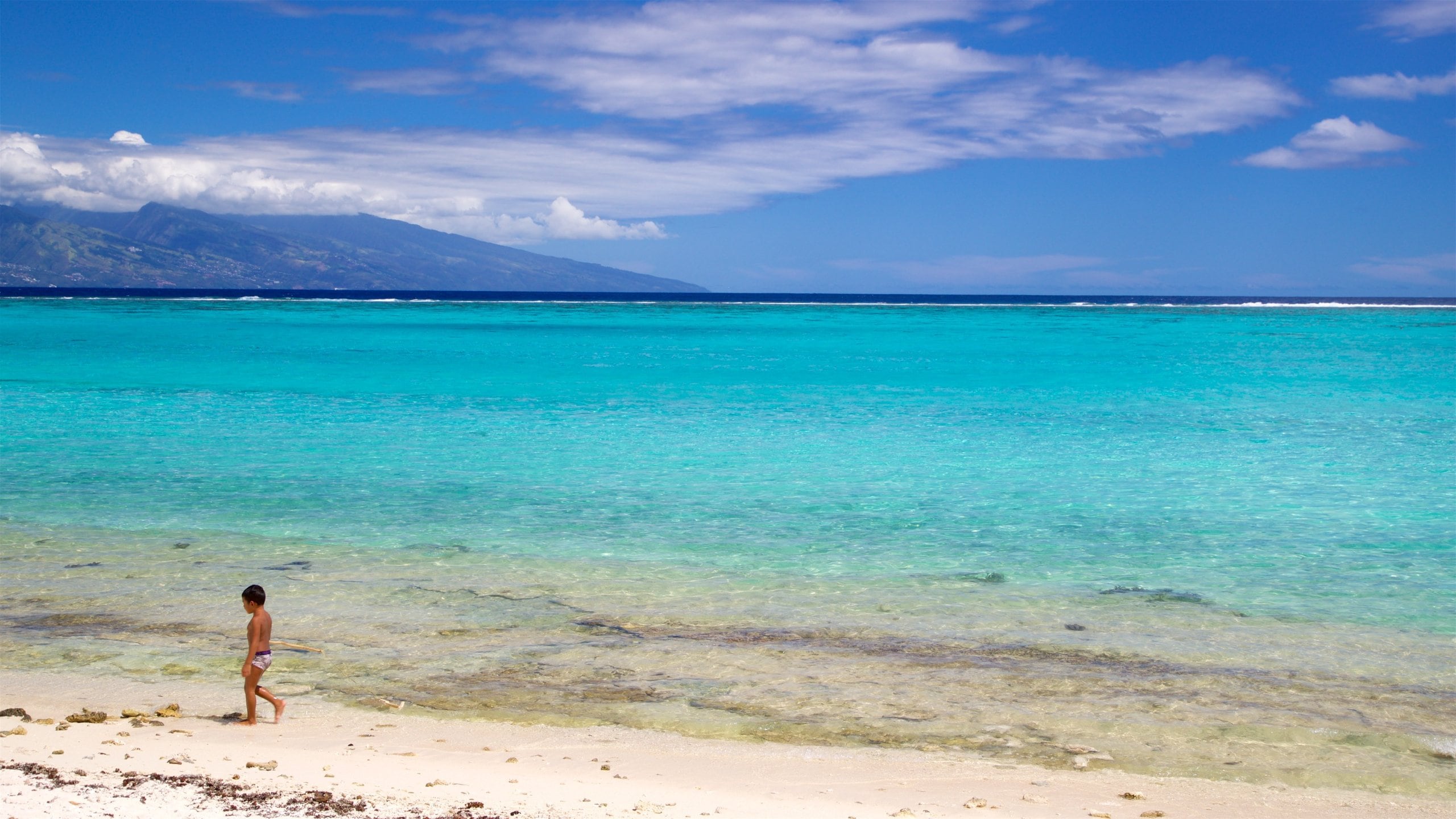 Visita Maharepa: El mejor viaje a Maharepa, Moorea-Maiao, del 2024 ...