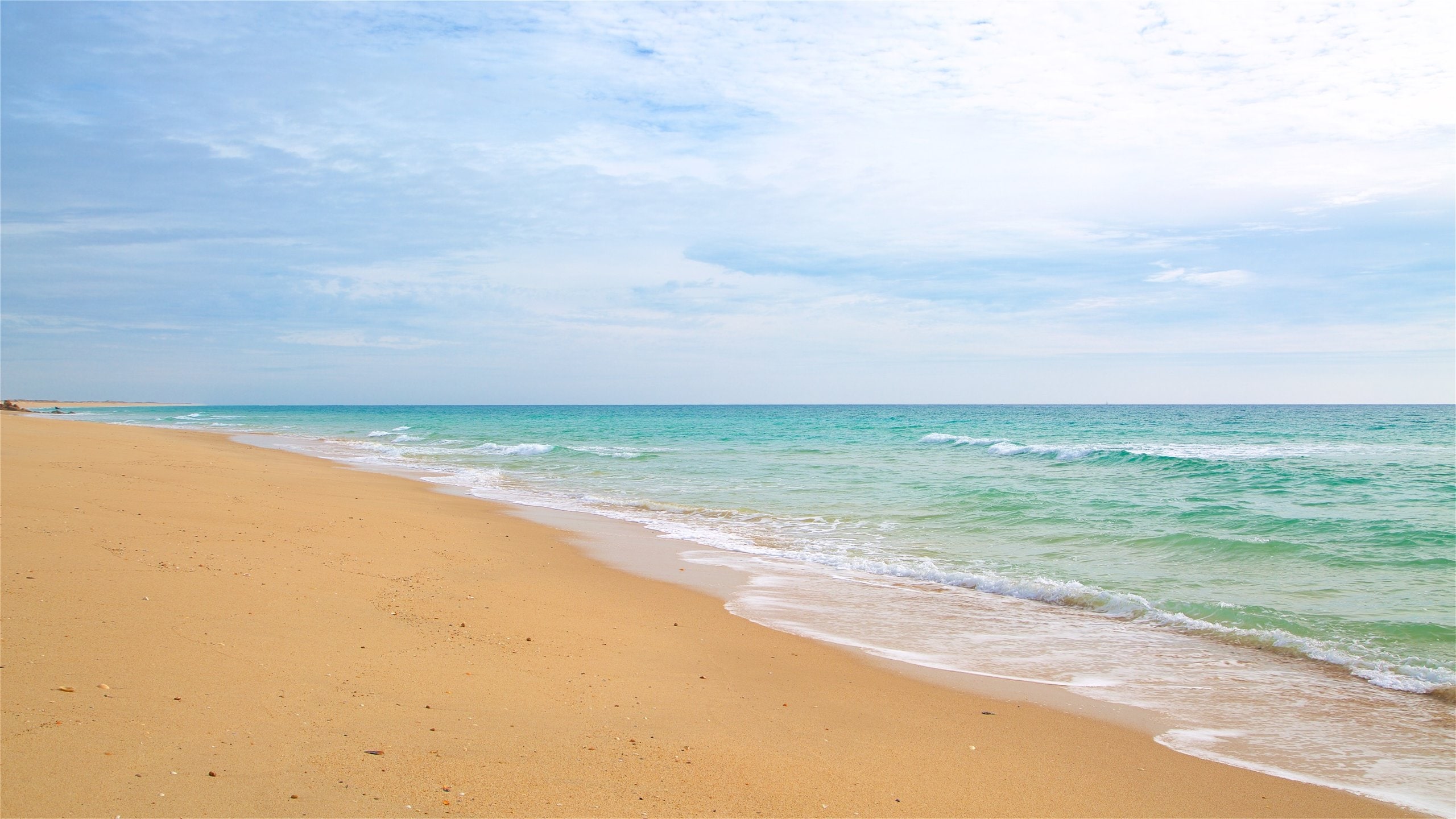 Ferienwohnung Faro, PT: Ferienhäuser & mehr | FeWo-direkt