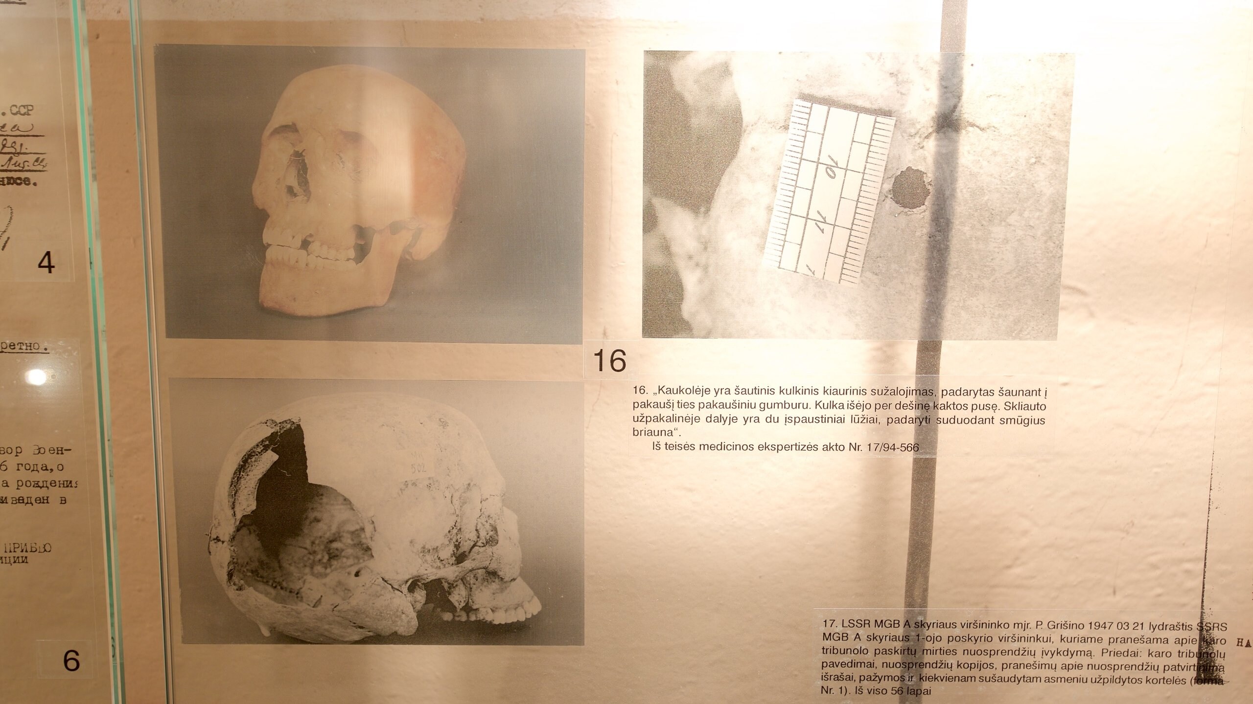 Visita Naujamiestis: scopri il meglio di Naujamiestis, Vilnius, nel ...