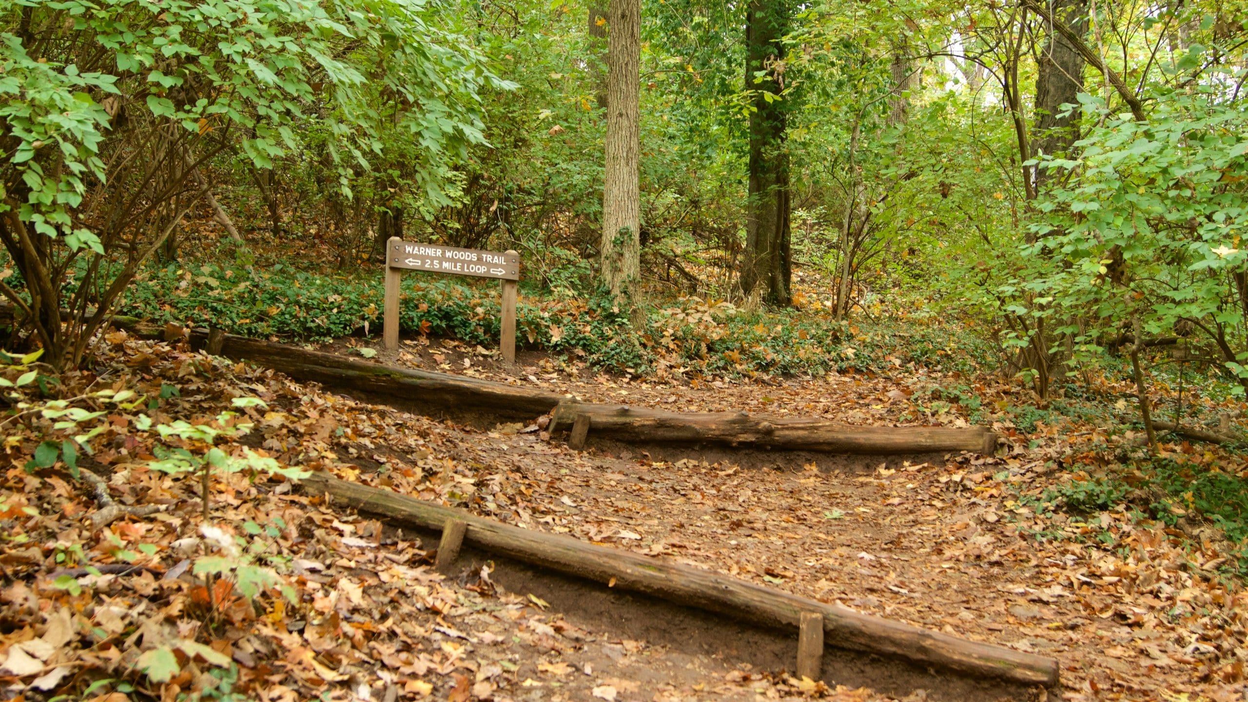 Visit Edwin And Percy Warner Parks In Bellevue Expedia Edwin & Percy